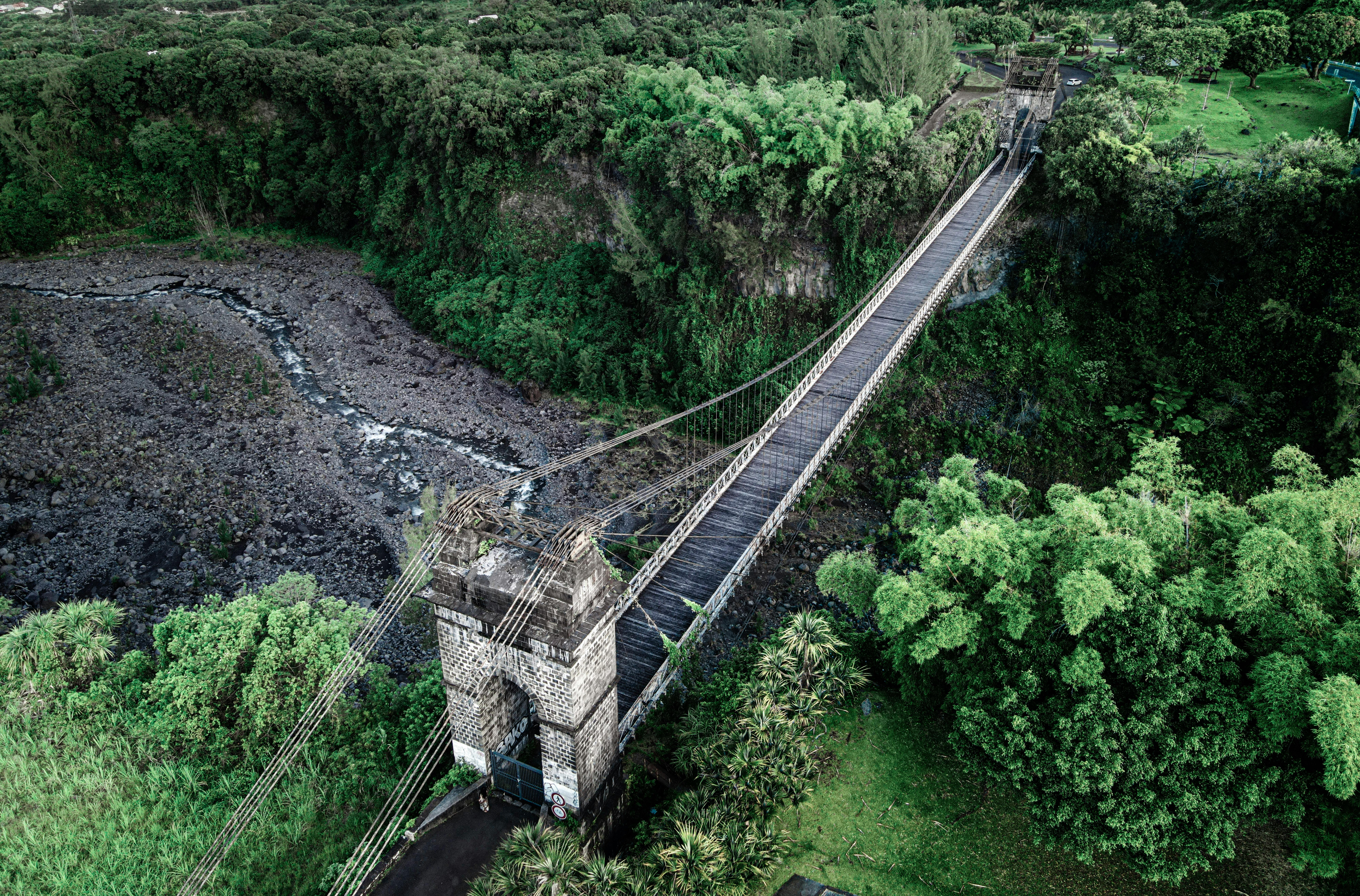 Narrow suspension bridge between lush green trees · Free Stock Photo