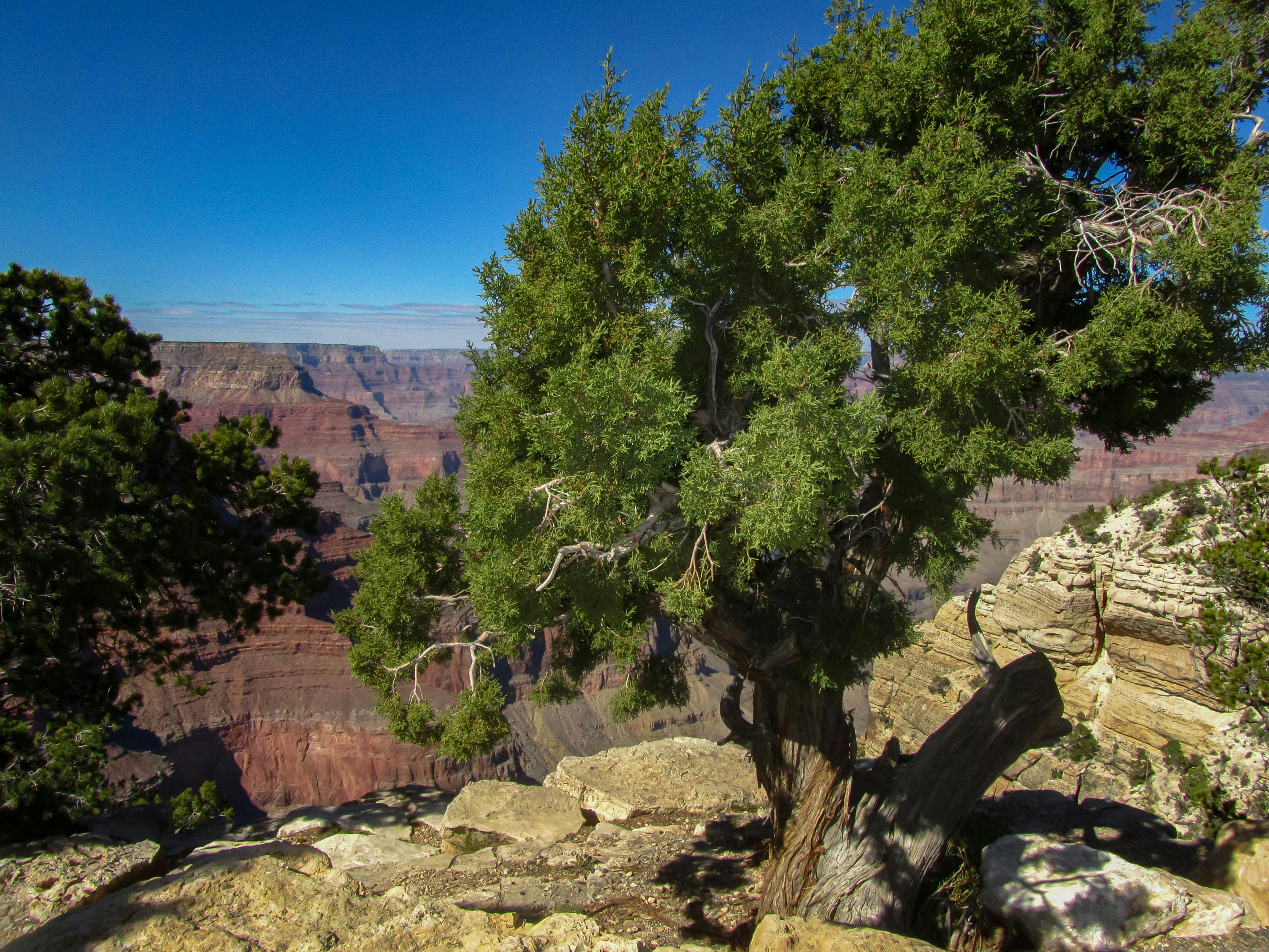 Dale Jackson - Photography