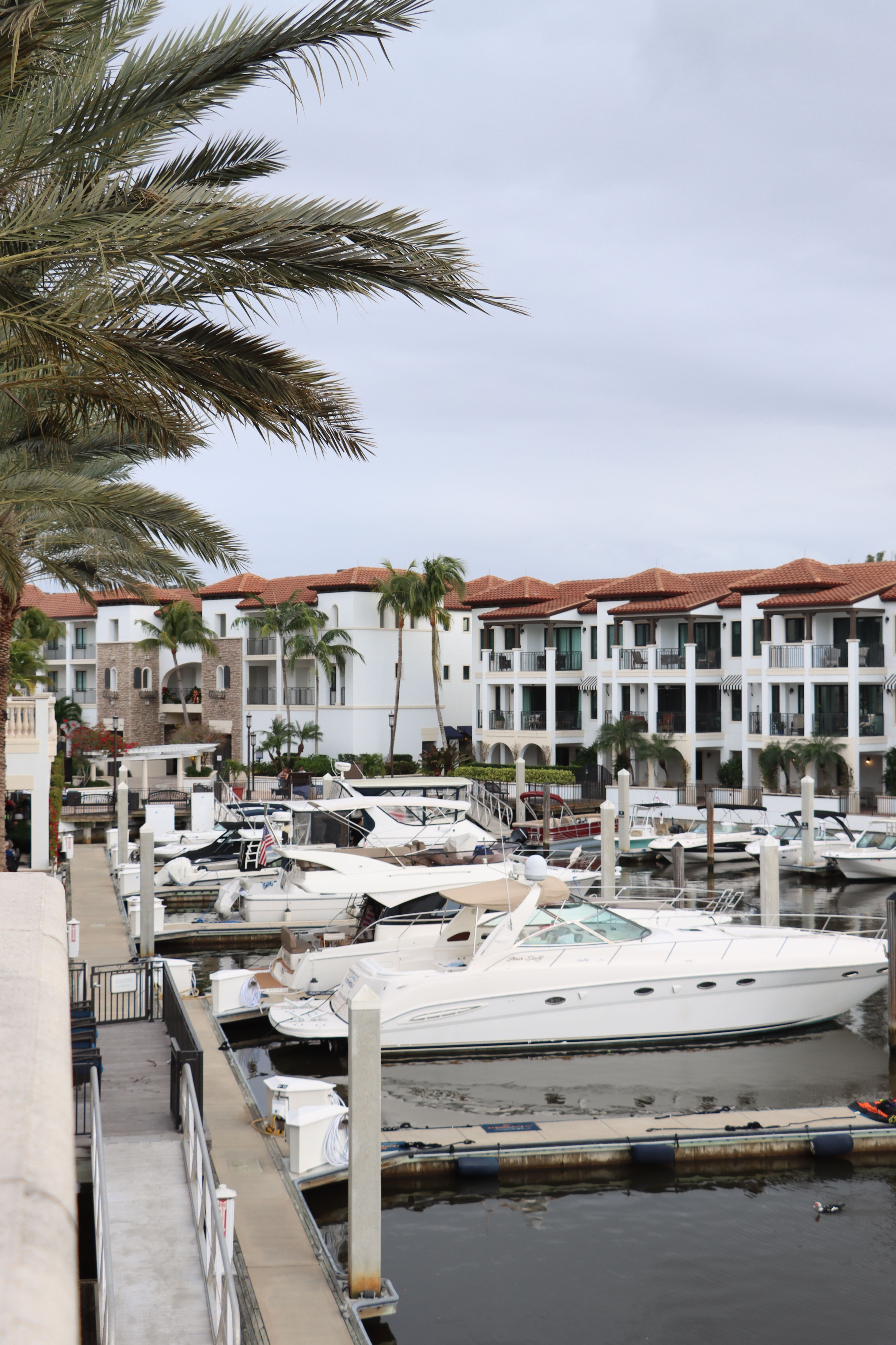 Yachts Docked in a Marina · Free Stock Photo