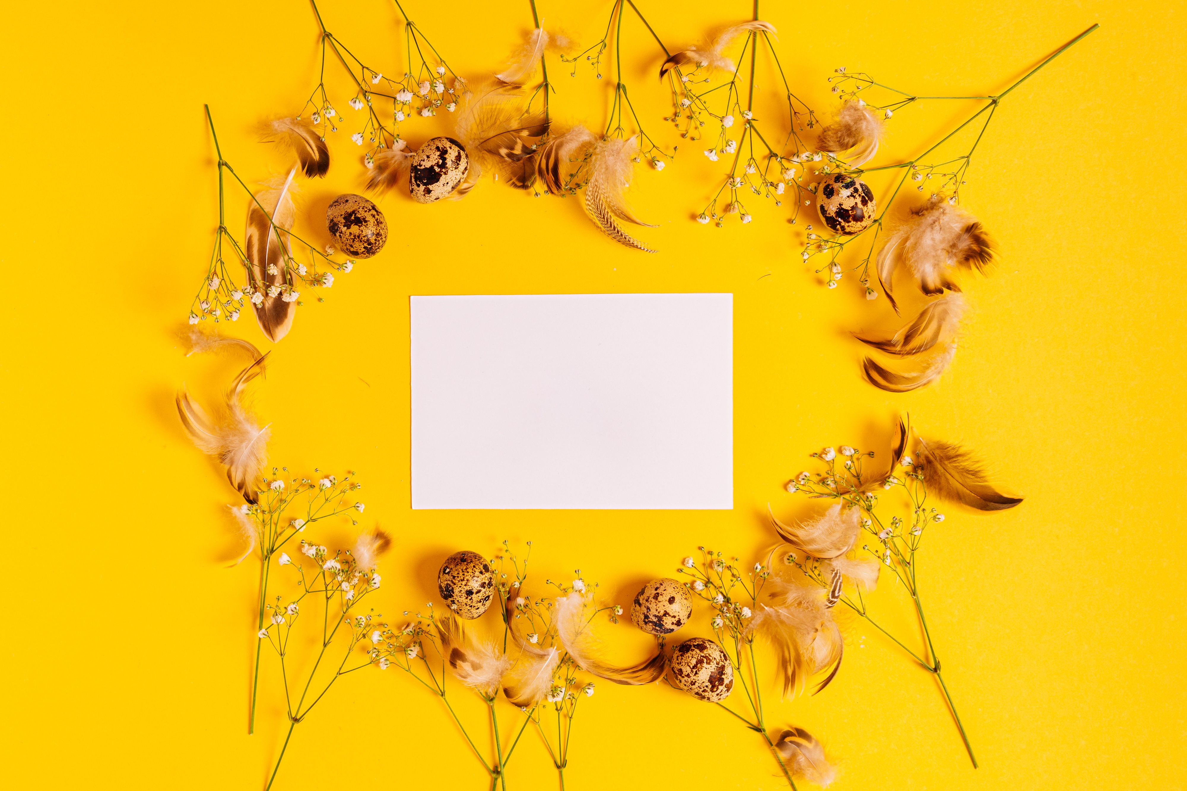 A Stem of Yellow Flowers Beside Blank White Paper on Green Surface ...