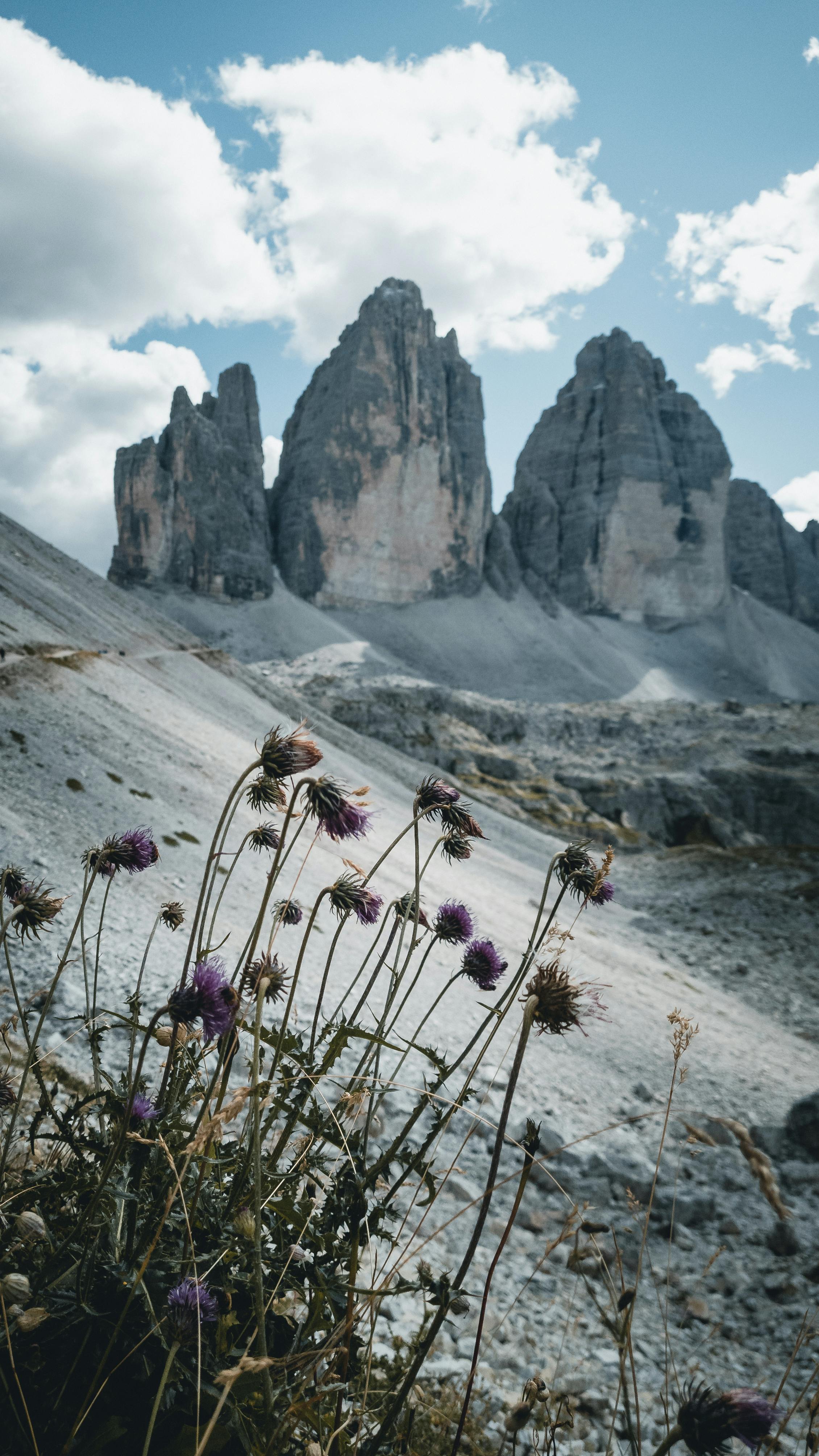Arid terrain with dry greenery in highland · Free Stock Photo