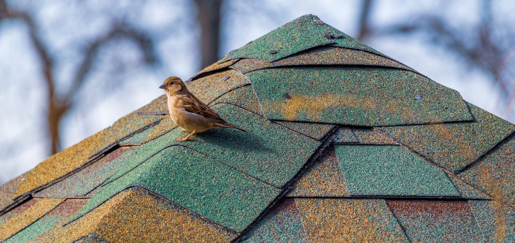 Discover Popular Roofing Shingle Styles for Every Home