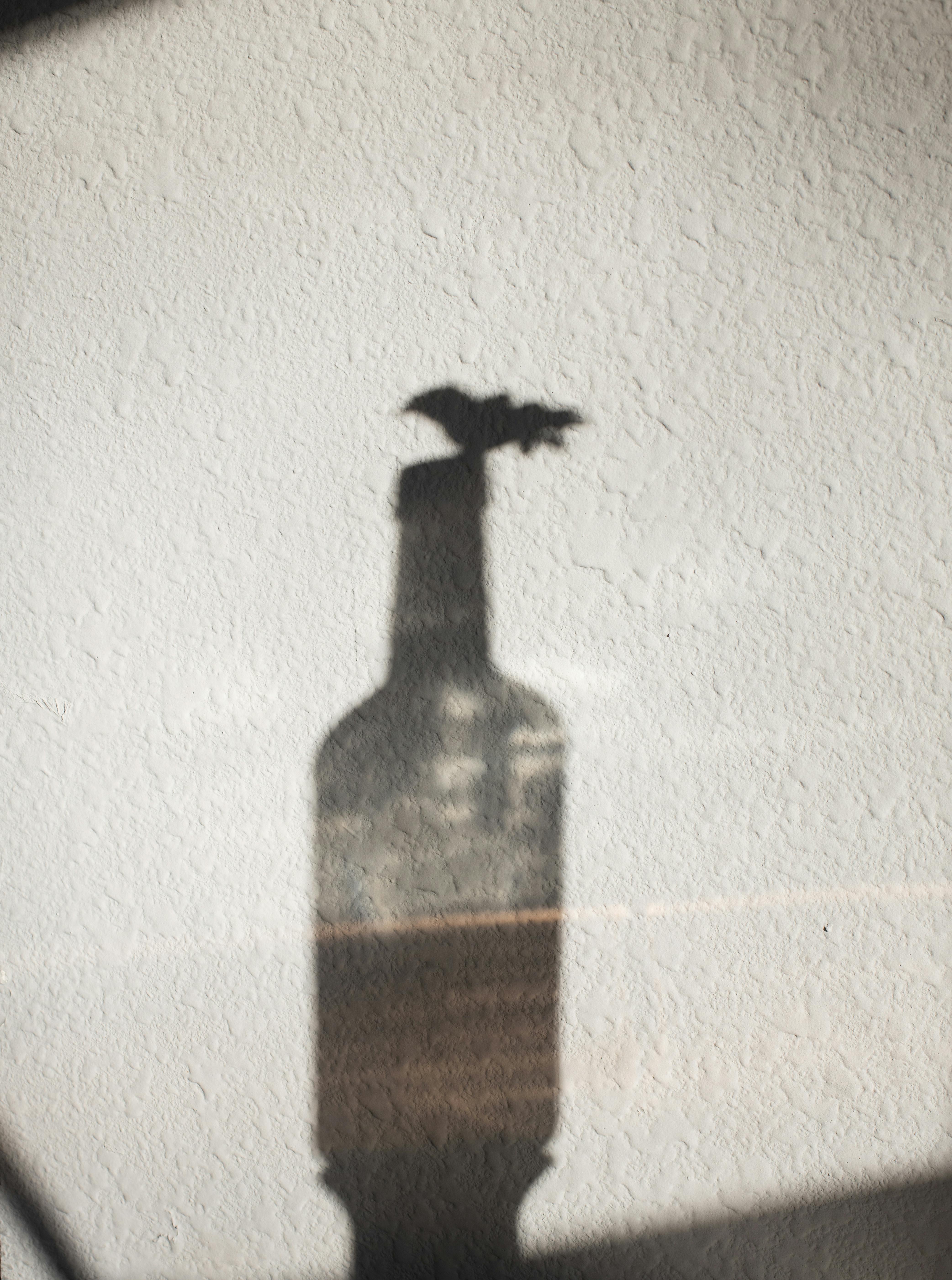 Shadow of glass bottle on white wall in daylight · Free Stock Photo