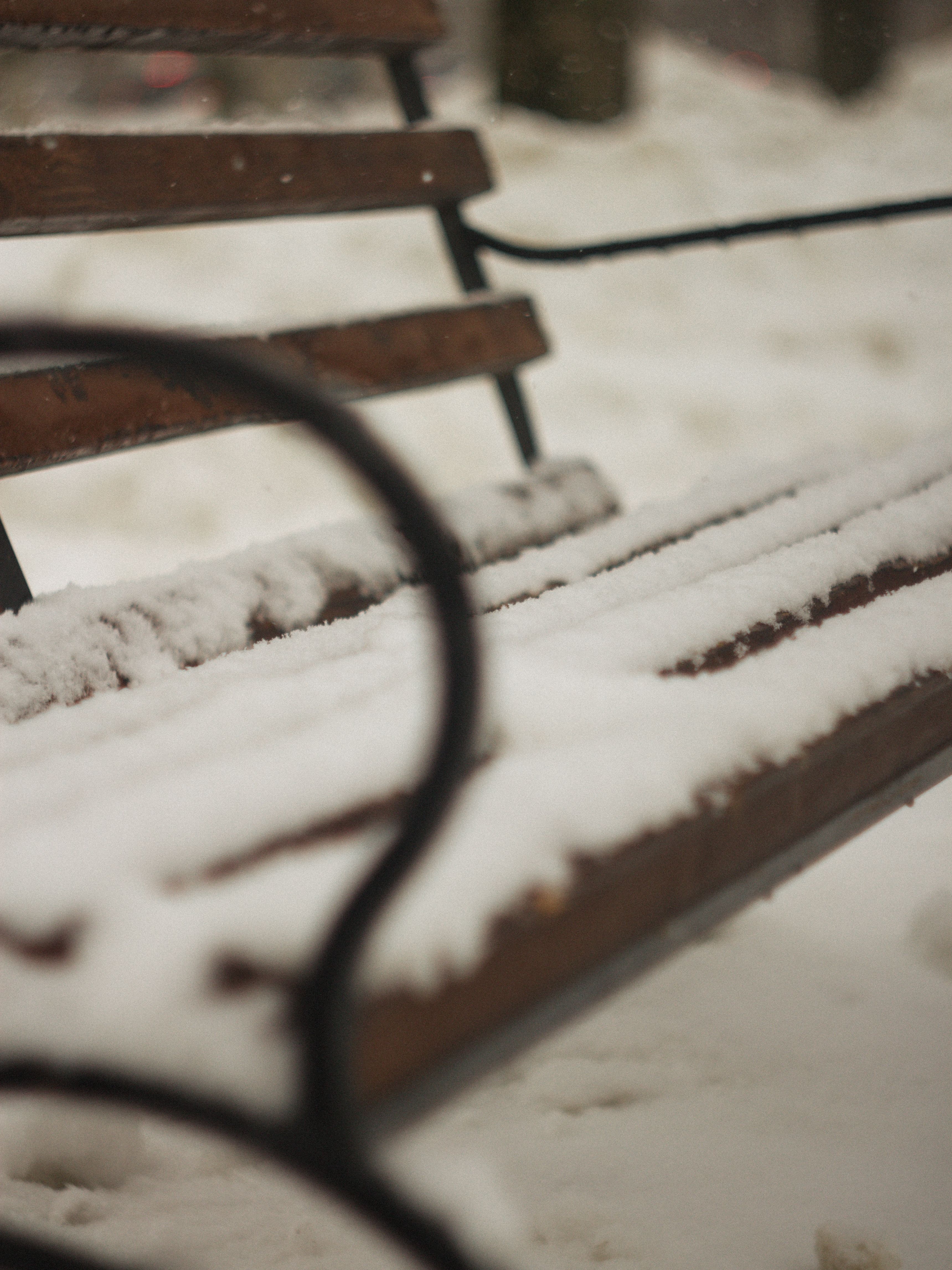 Snow on Bench · Free Stock Photo