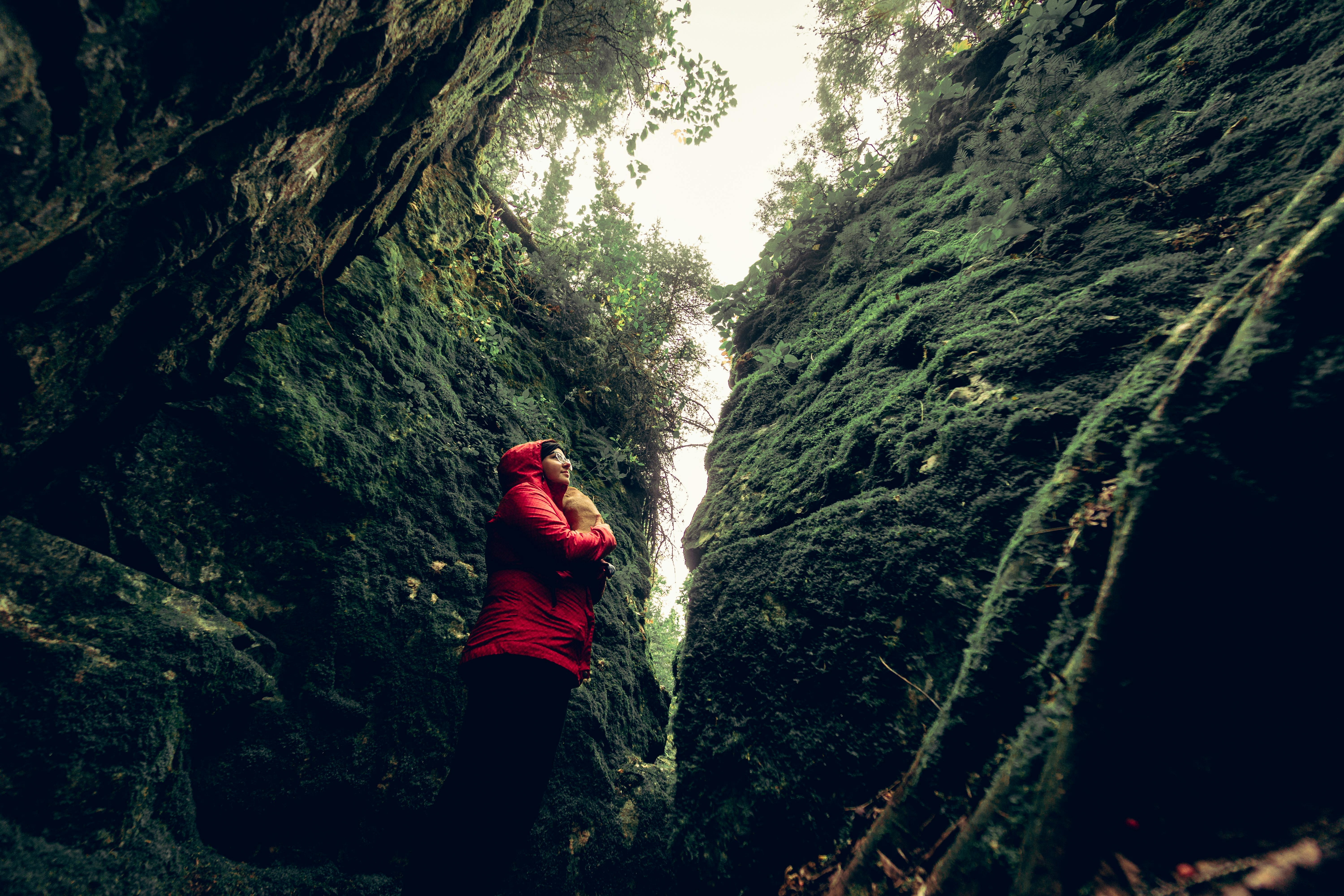Person Wearing a Red Jacket · Free Stock Photo