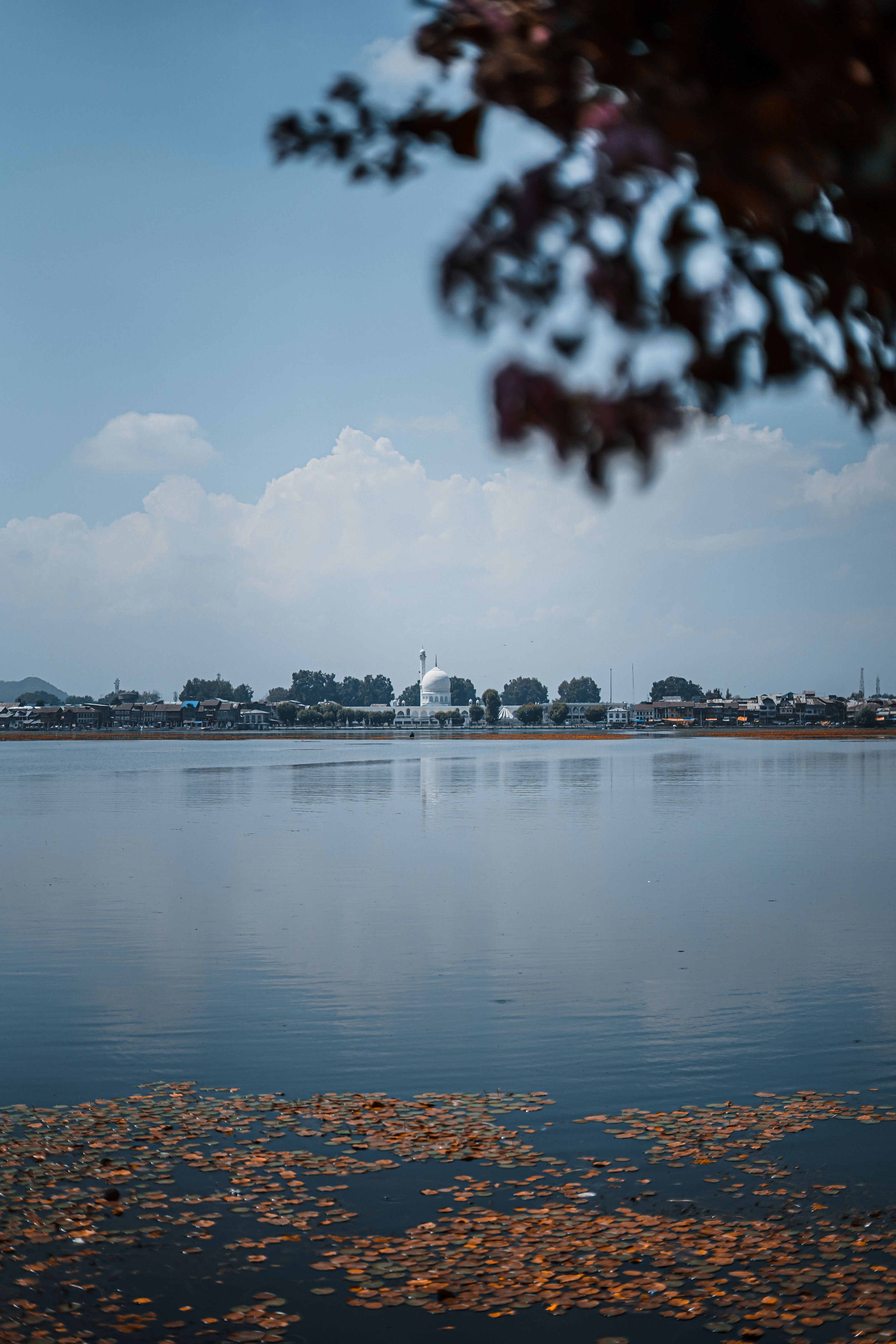 Small village on shore of lake surrounded by trees · Free Stock Photo