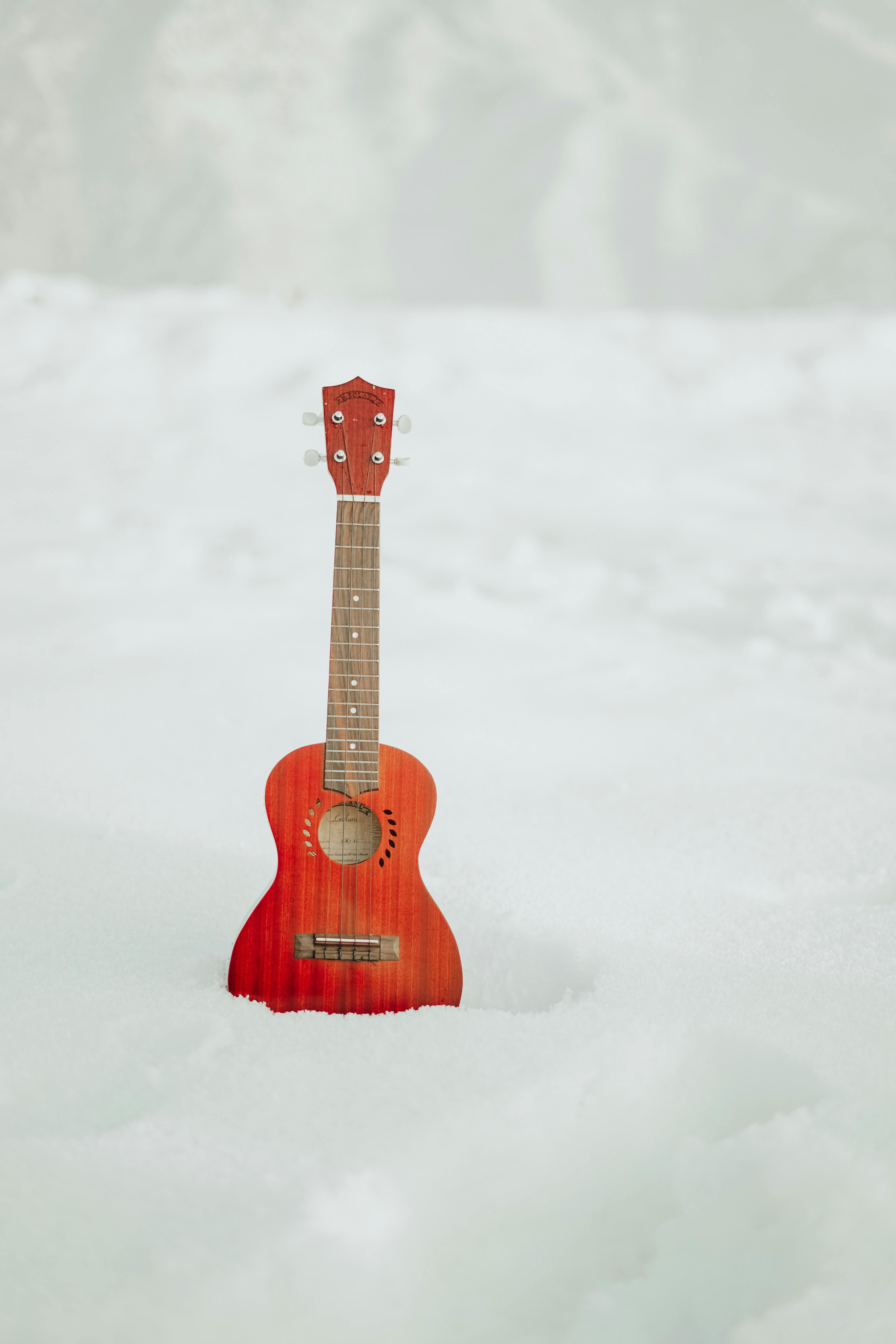 Acoustic guitar in snow in highland · Free Stock Photo