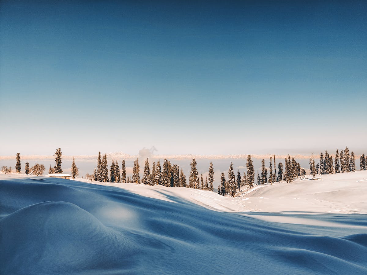 Facebook Cover Photo Photos, Download The BEST Free Facebook Cover ...