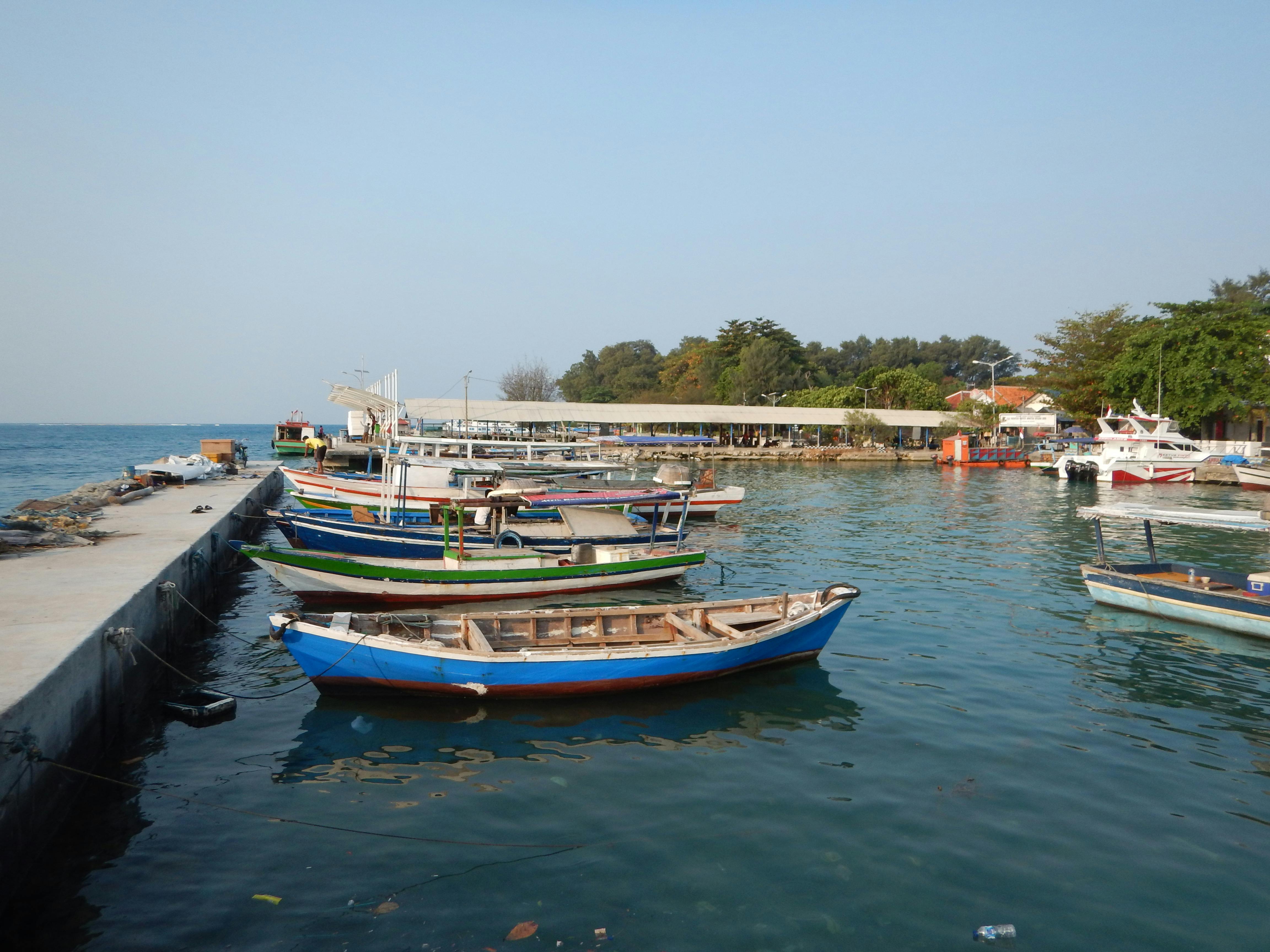 Free stock photo of harbor, sea