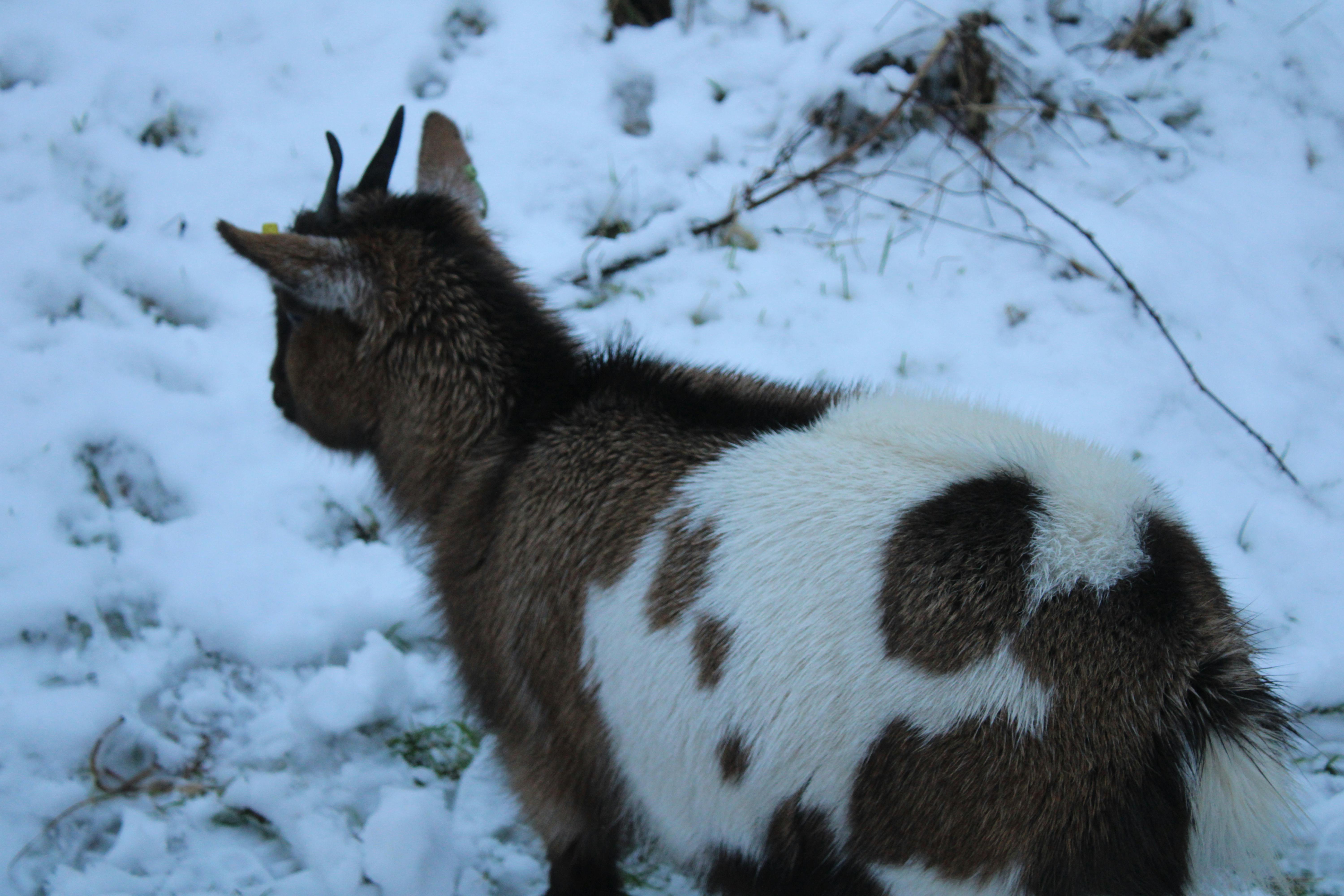 Cameron Findlay - Photography