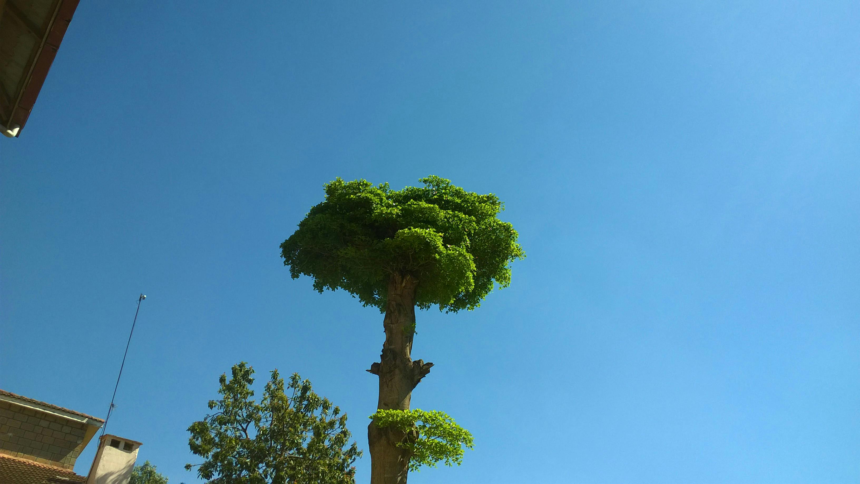 Cute Couple Shy Happy