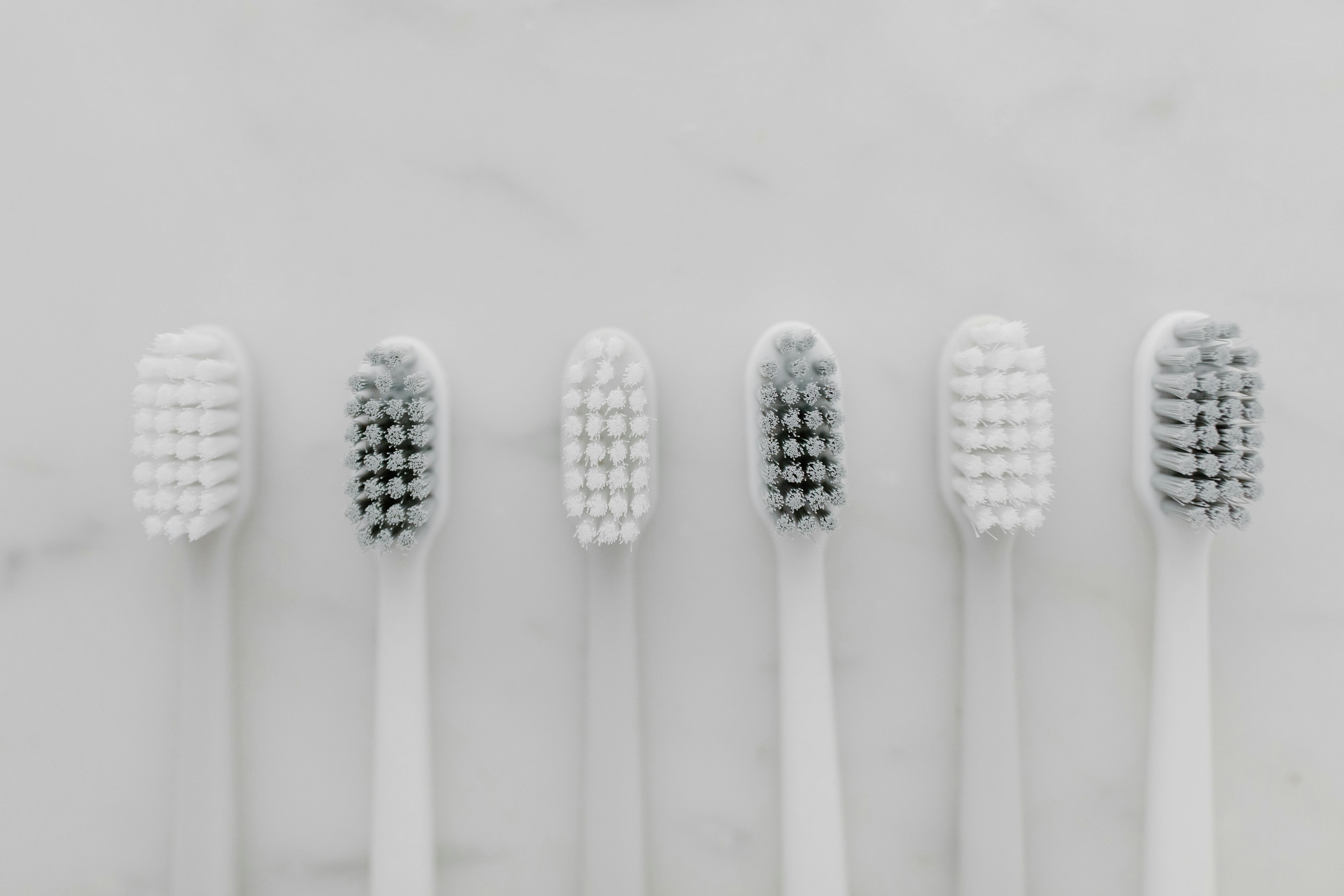 Close-up of Toothbrushes · Free Stock Photo