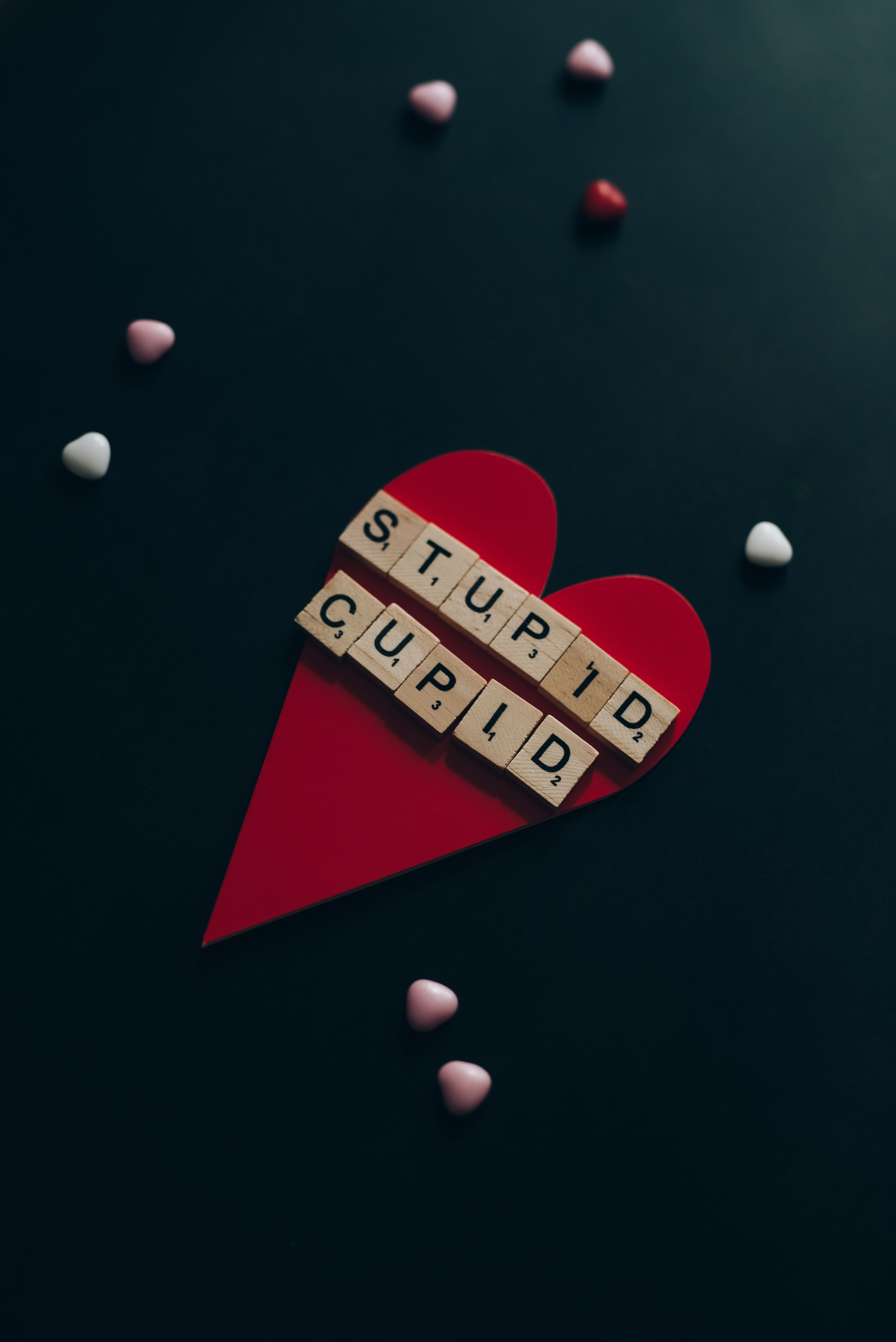 Stupid Photos Download The Best Free Stupid Stock Photos Hd Images