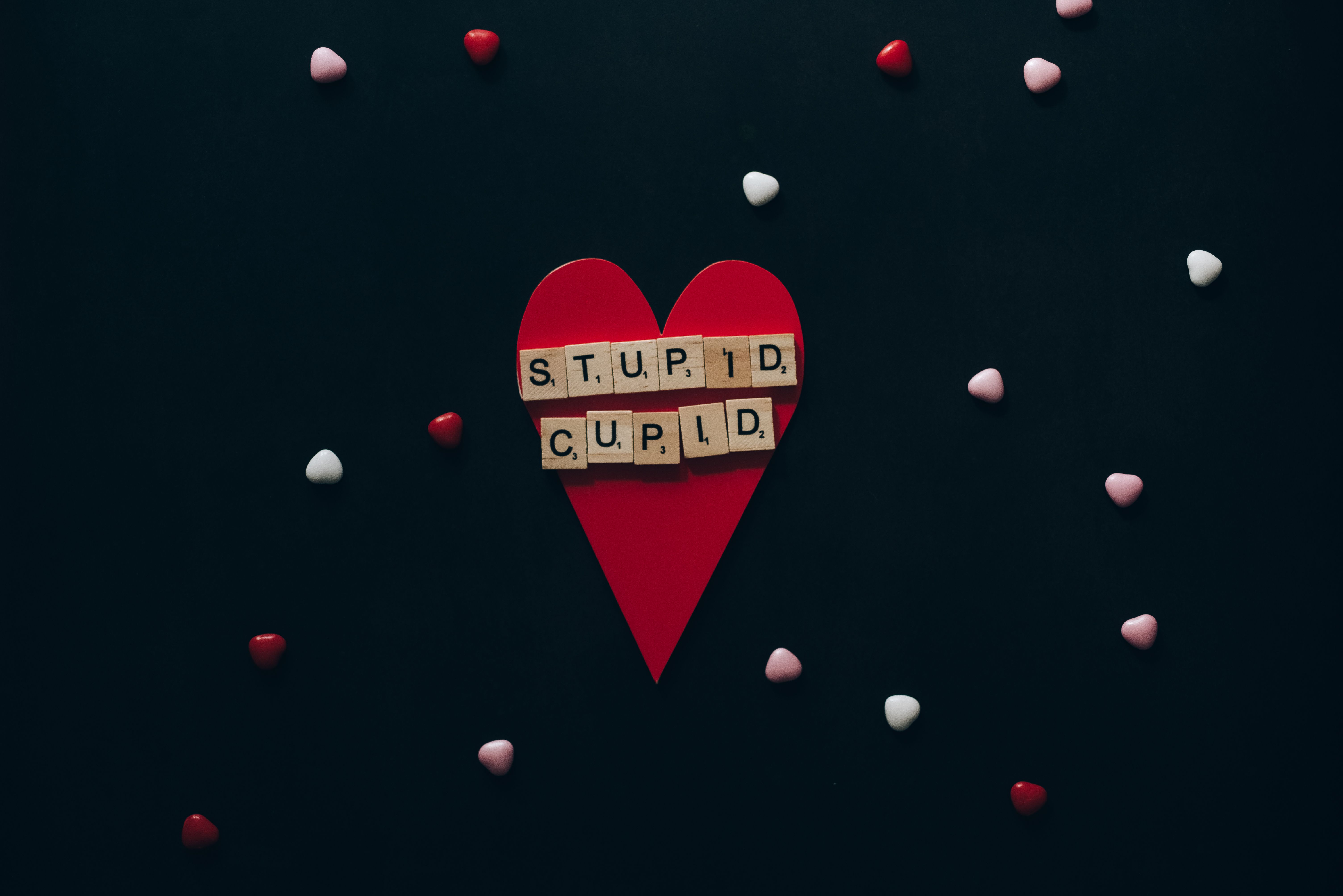 Stupid Photos Download The Best Free Stupid Stock Photos Hd Images