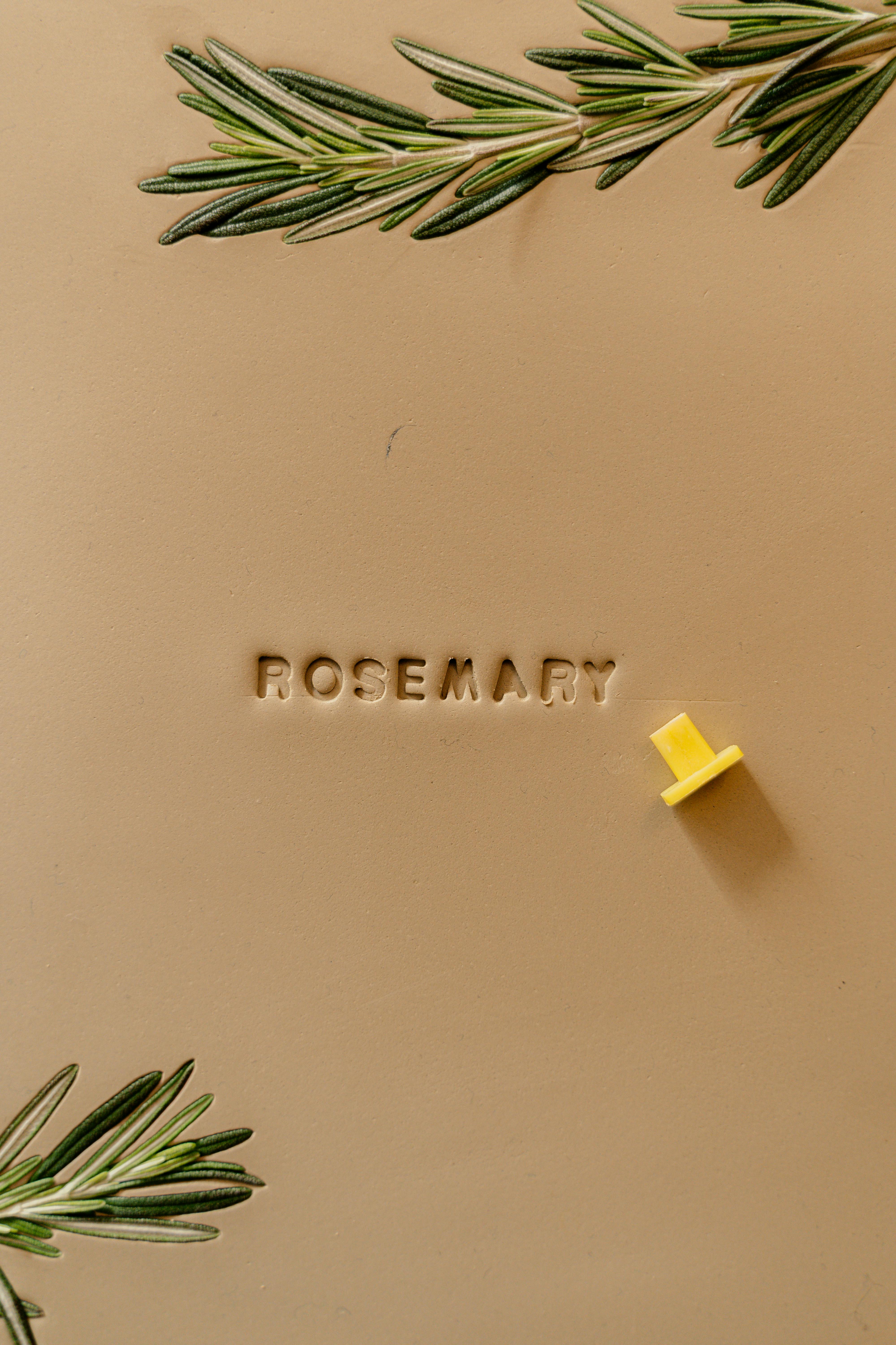 Etched Rosemary Word on Brown Surface · Free Stock Photo
