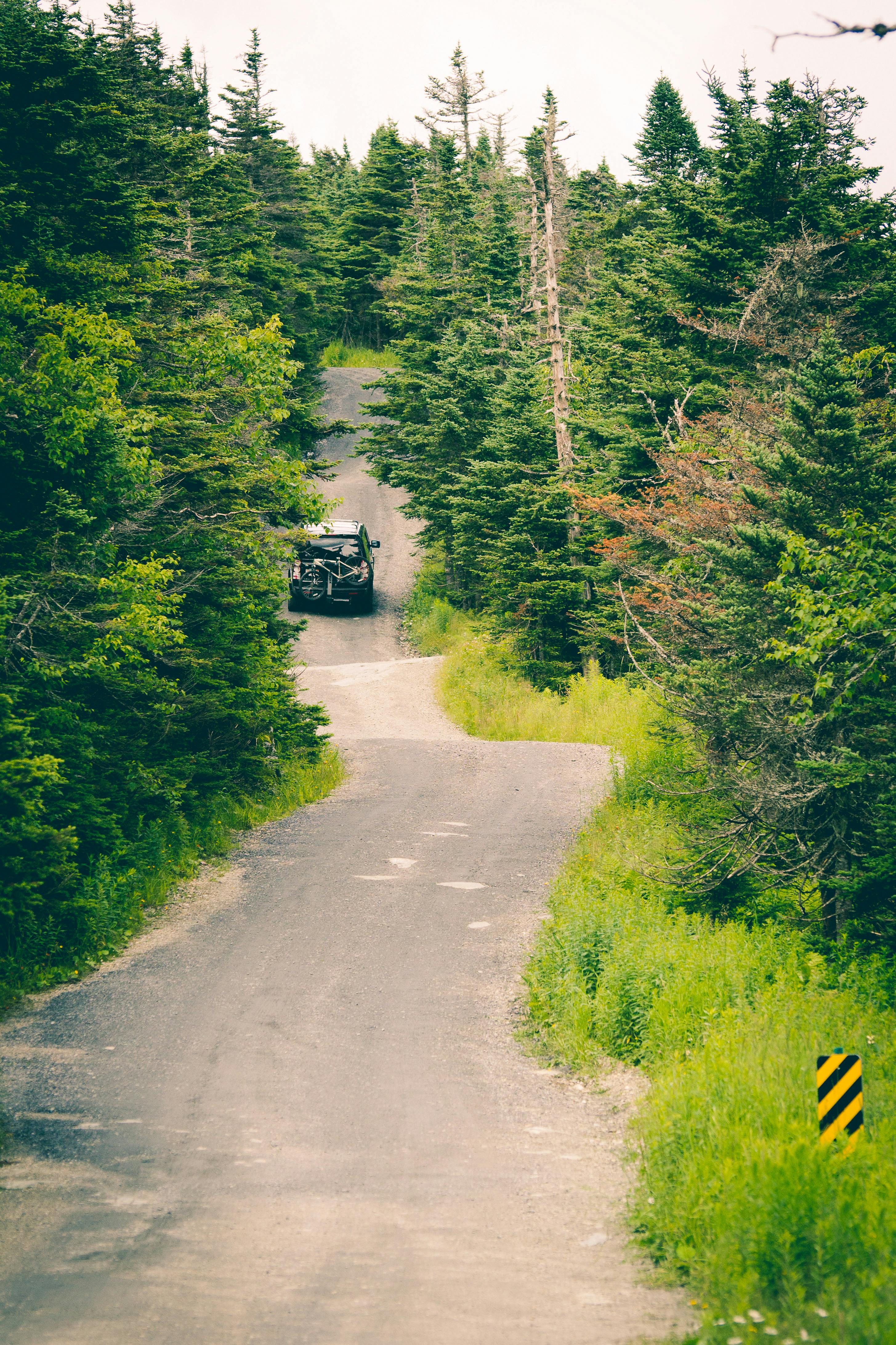 Vehicle on Road in Between Trees Photography · Free Stock Photo