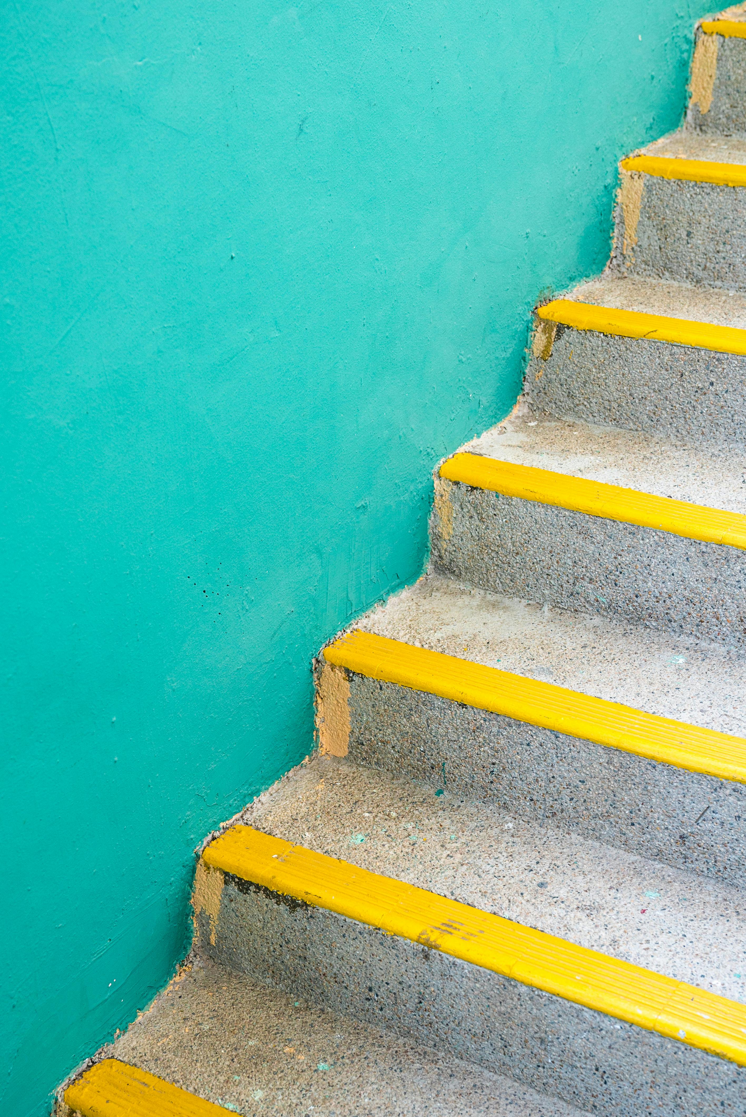 100+ Best Reference Photos · 100% Free Download · Pexels Stock Photos