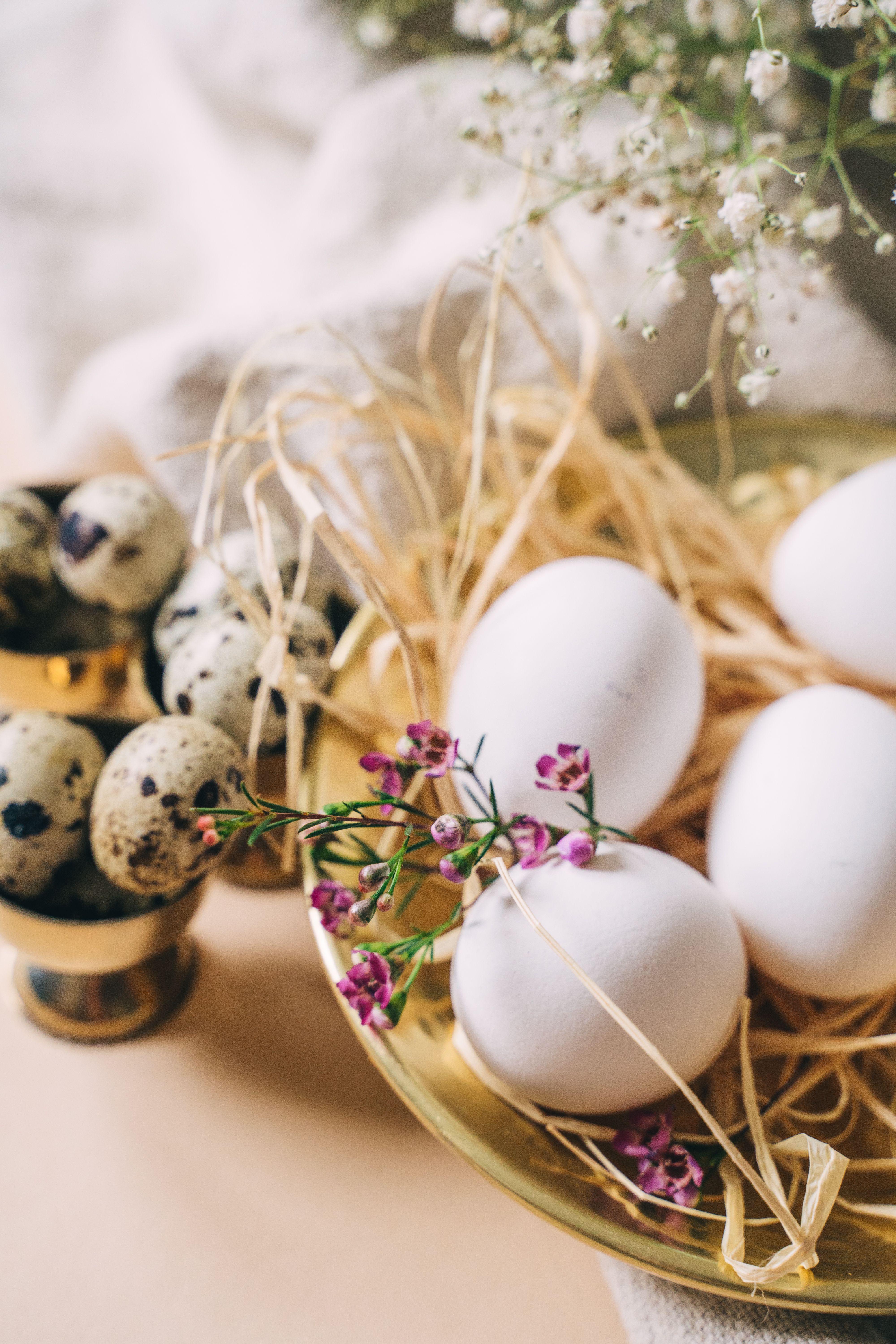 Close-Up Photography of Quail Eggs on Nest · Free Stock Photo