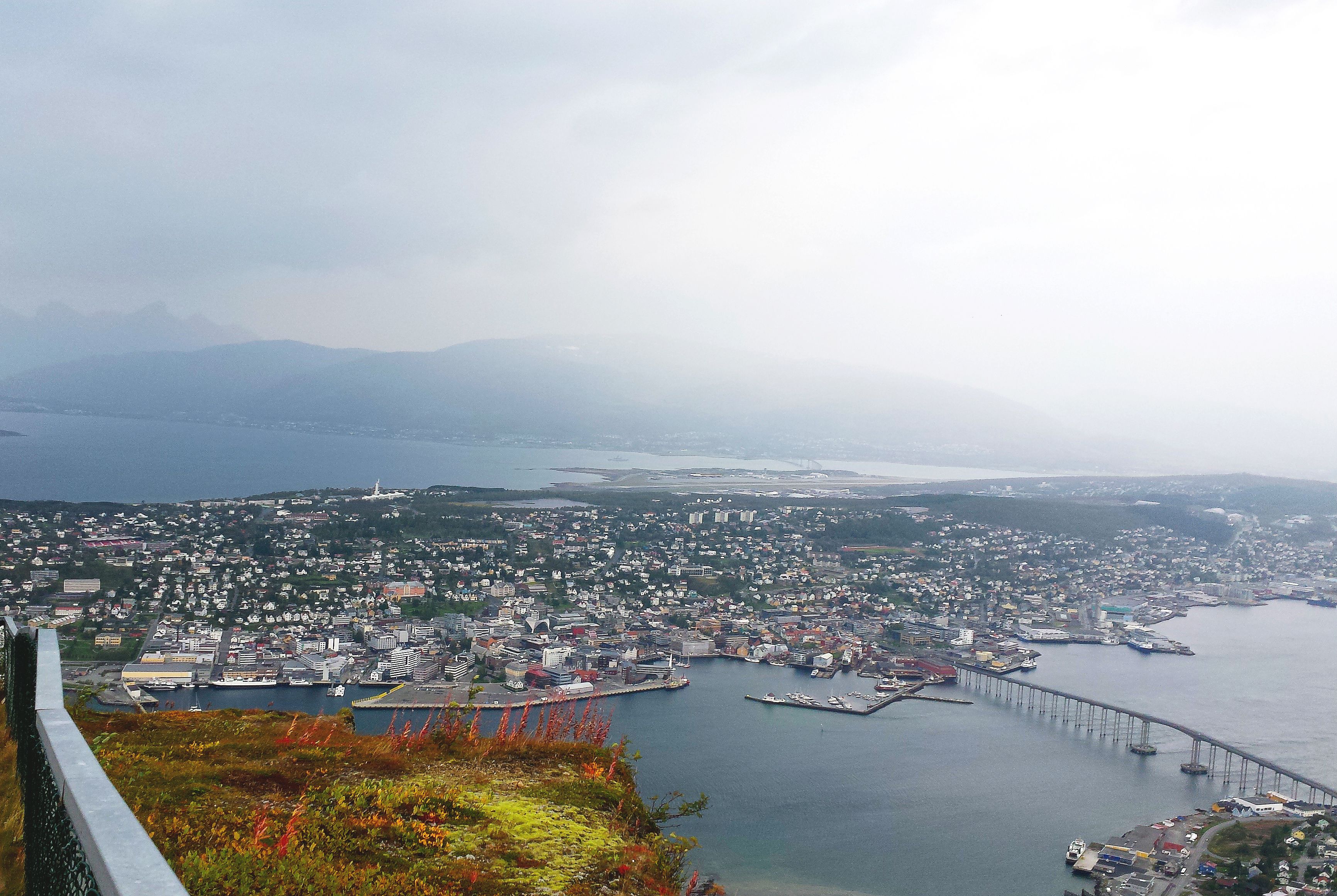 Free stock photo of above, bay, bird's eye view