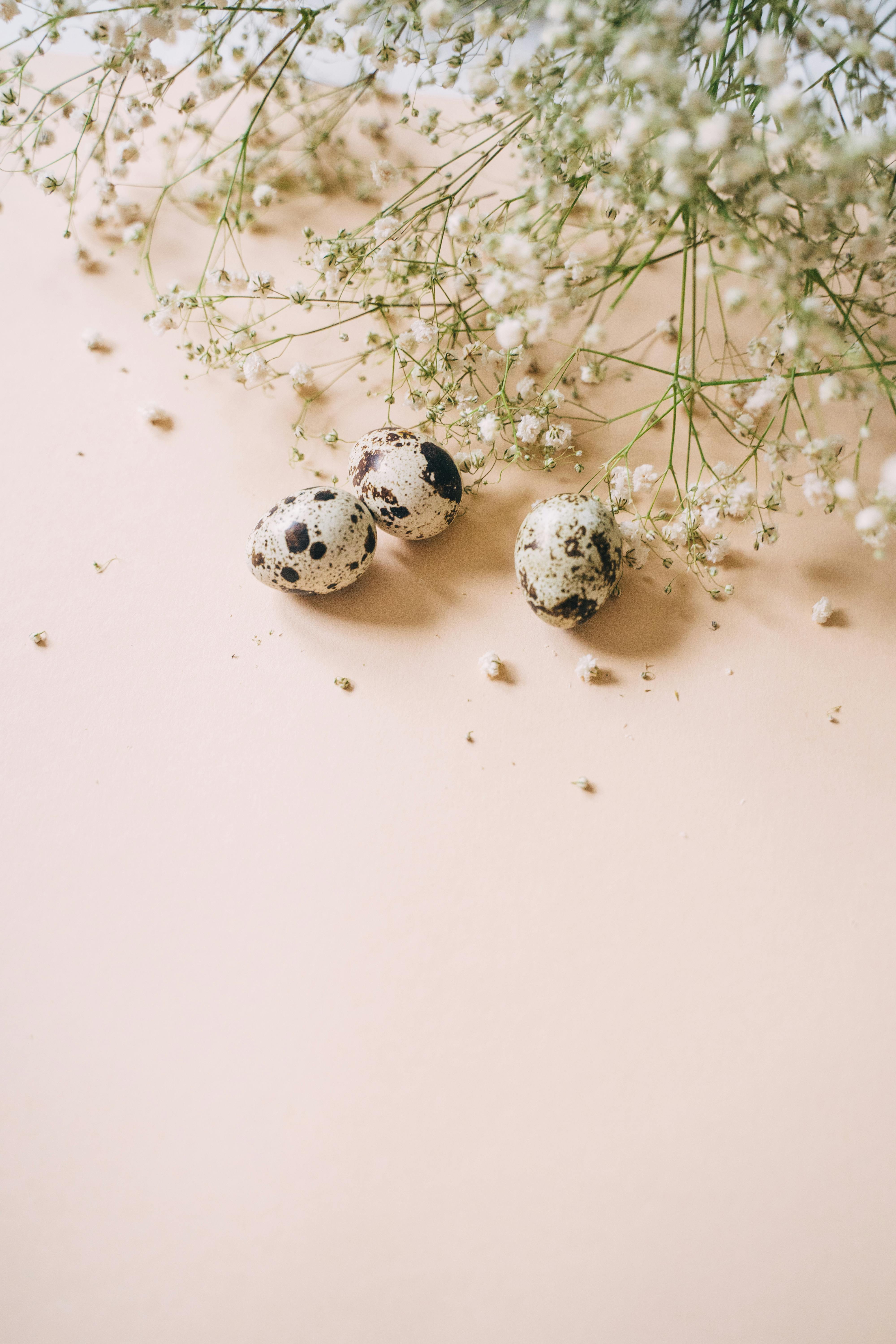 Quail Eggs Beside Flowers on Beige Surface · Free Stock Photo