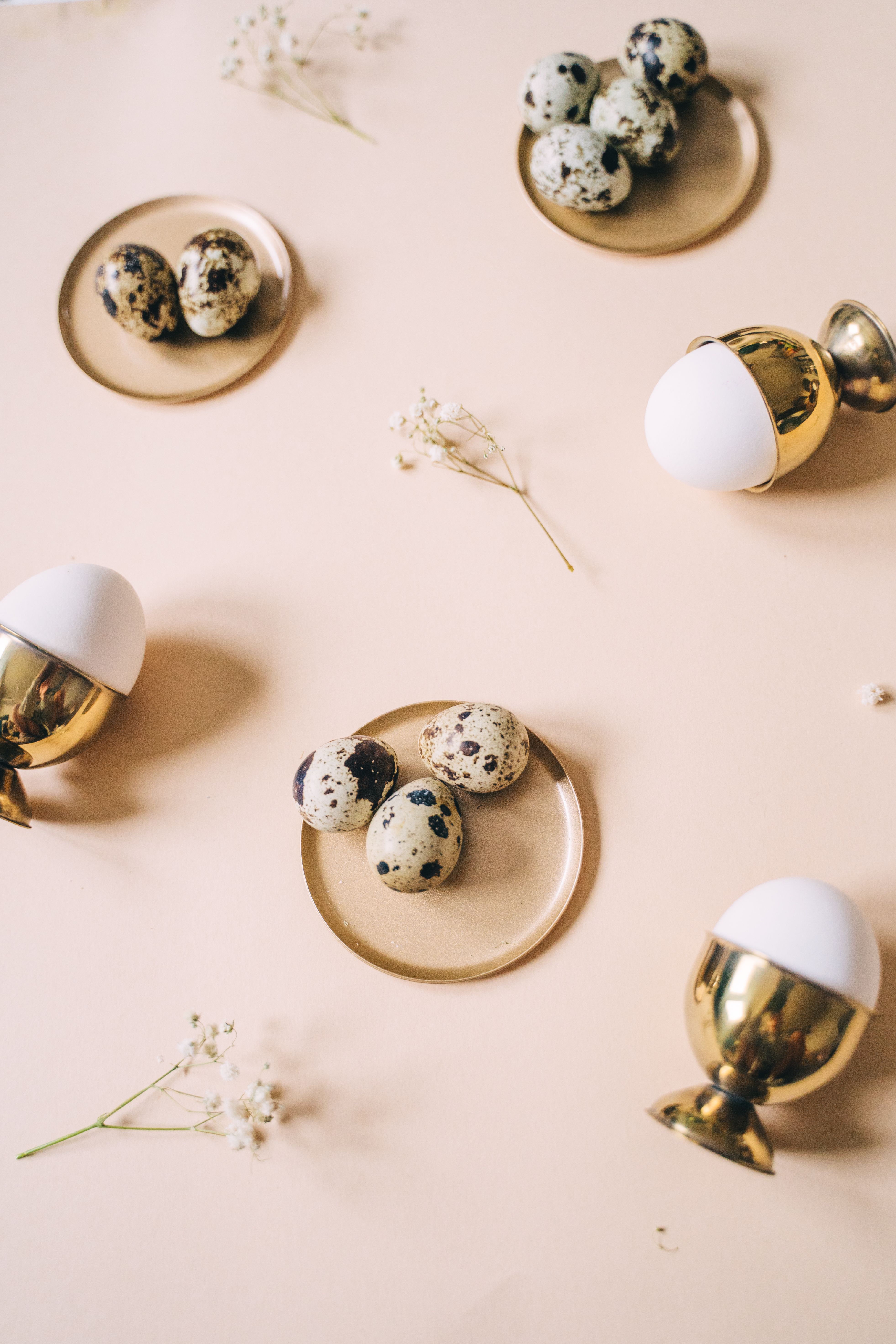 Egg Presentation Photos, Download The BEST Free Egg Presentation Stock ...