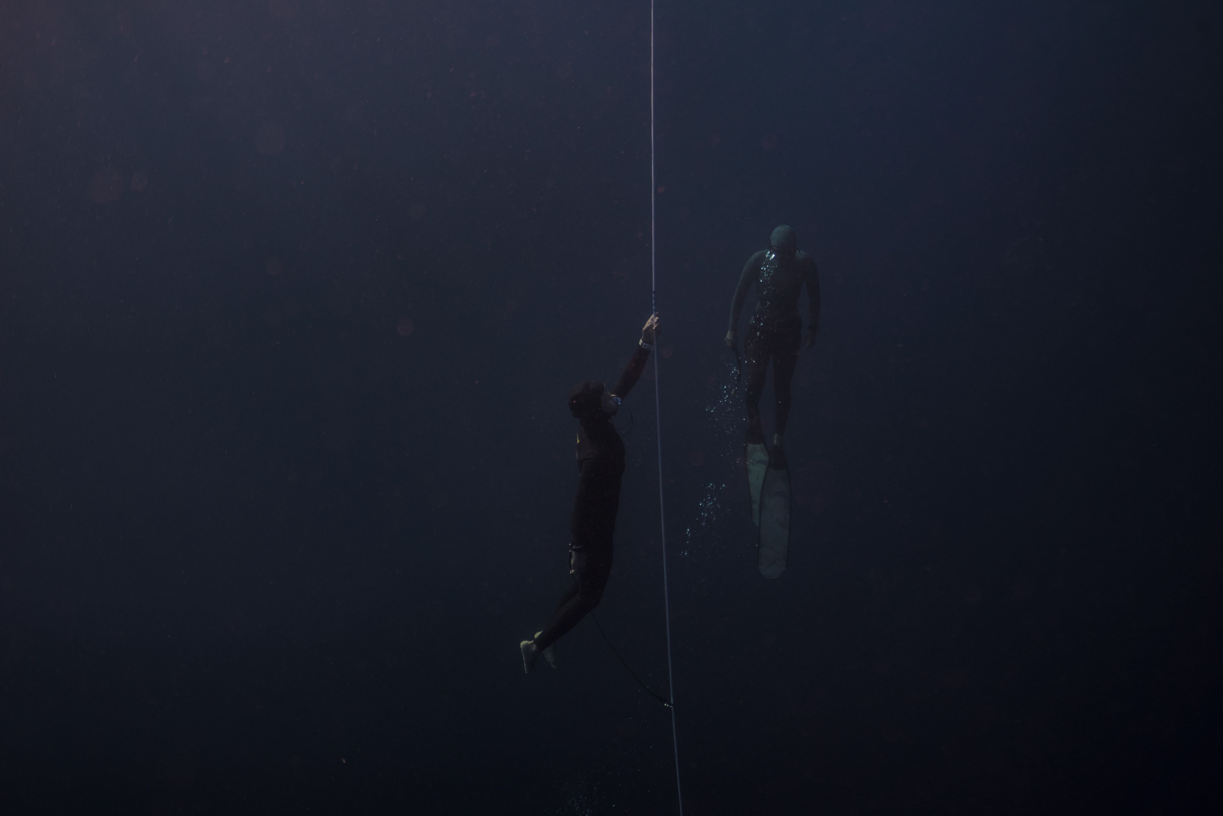 Diver in deep blue water · Free Stock Photo
