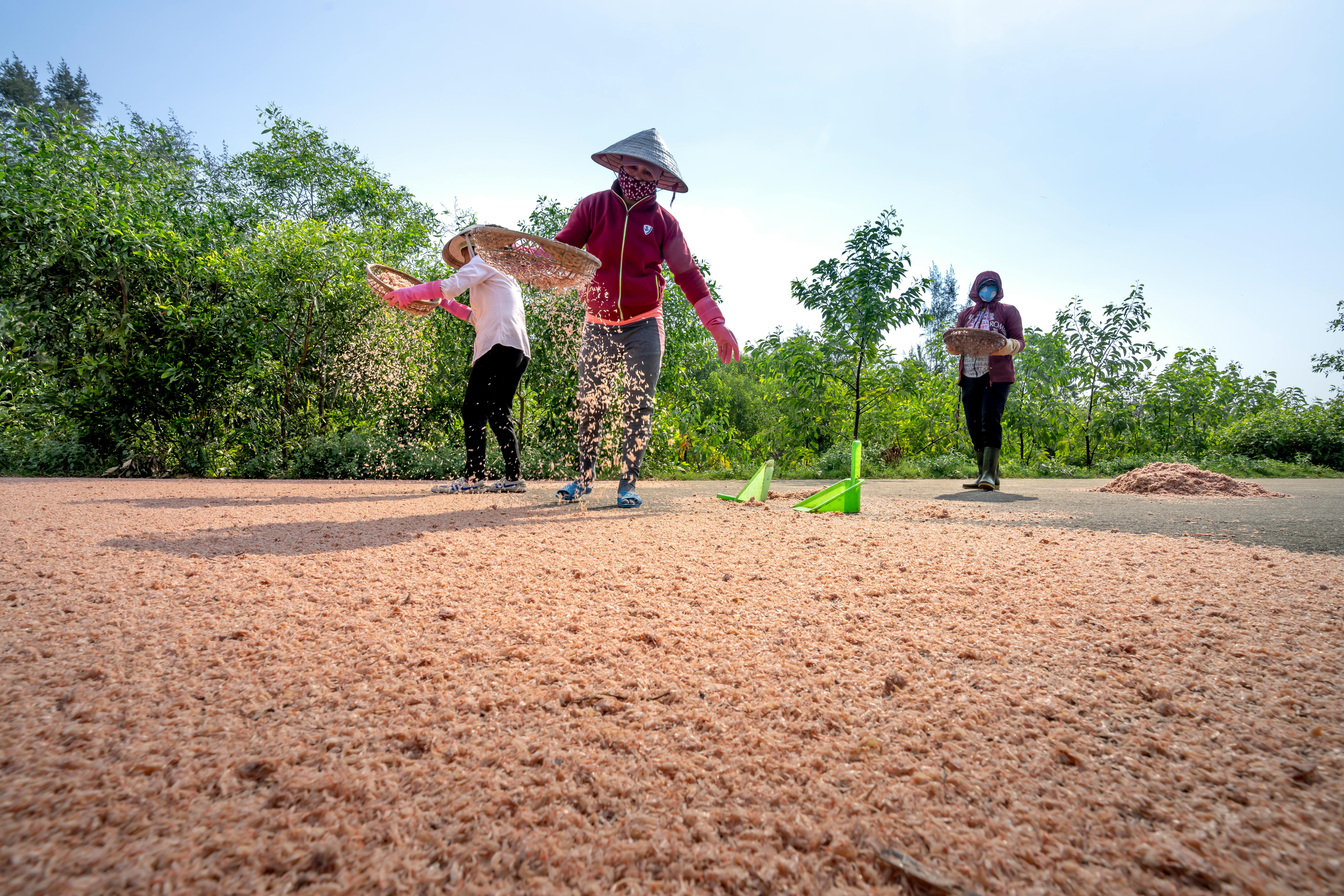 Separate Groups Of People Photos, Download The BEST Free Separate ...