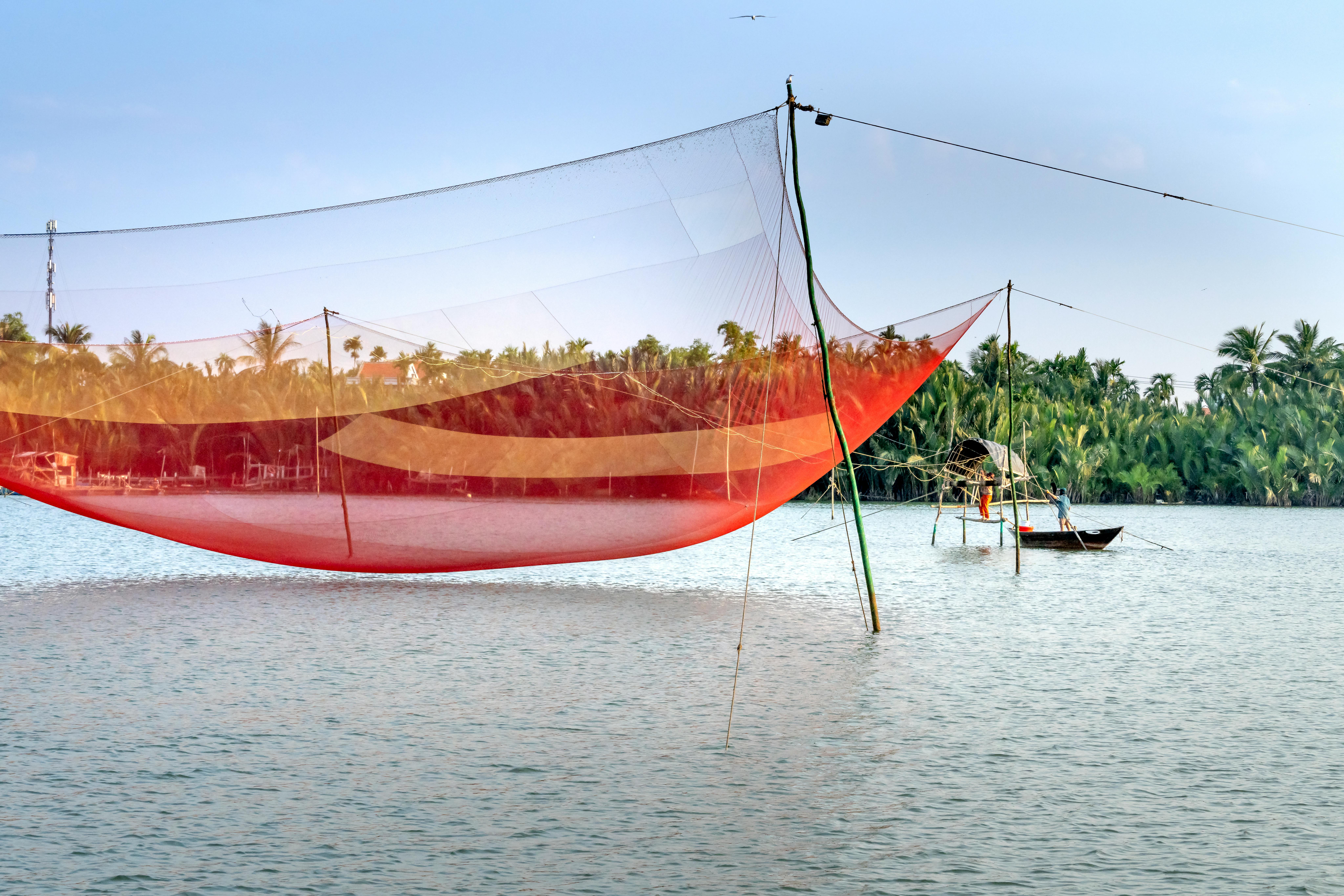 Background Net Bank Photos, Download The BEST Free Background Net Bank ...