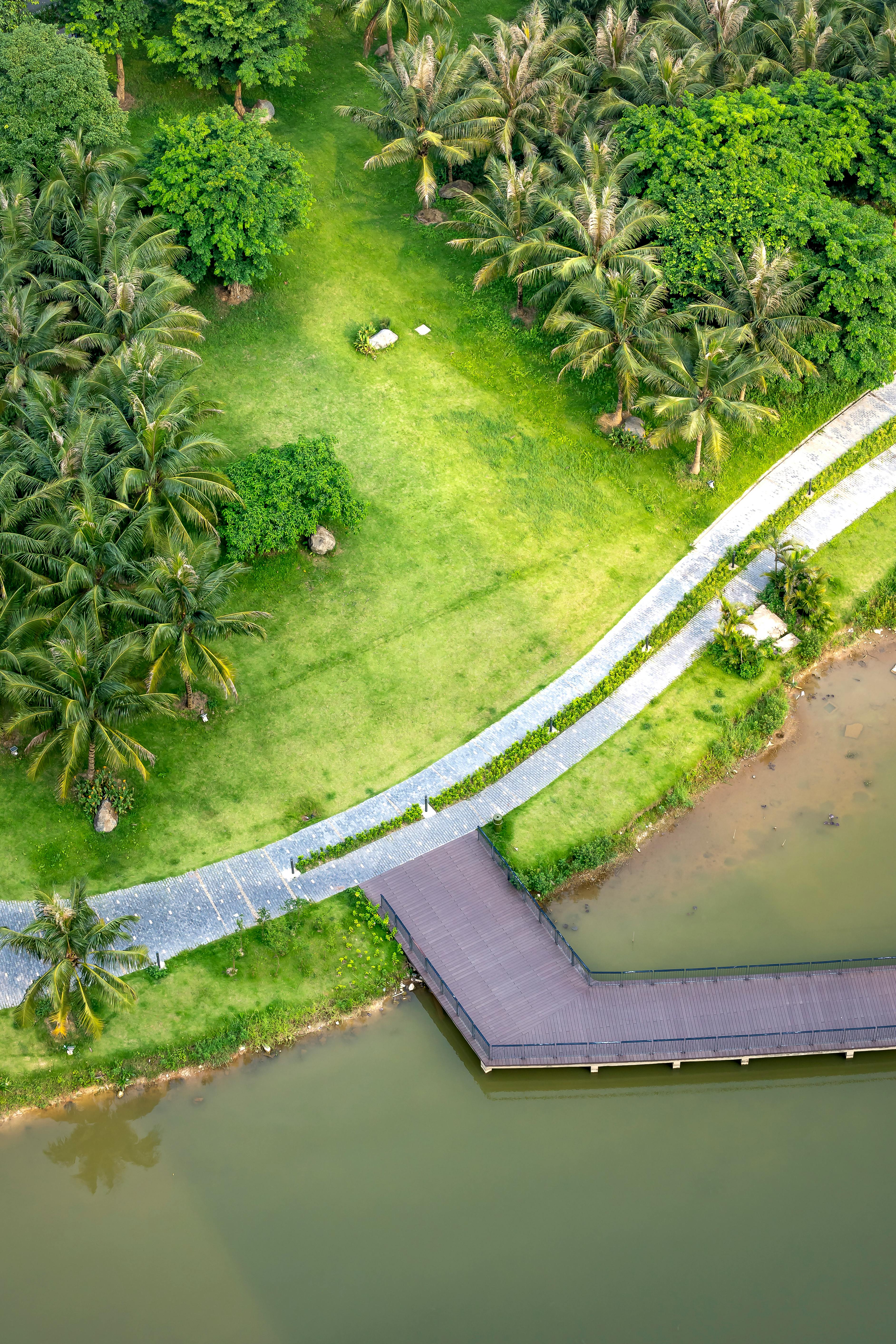 Pier and tropical trees on coast of river · Free Stock Photo