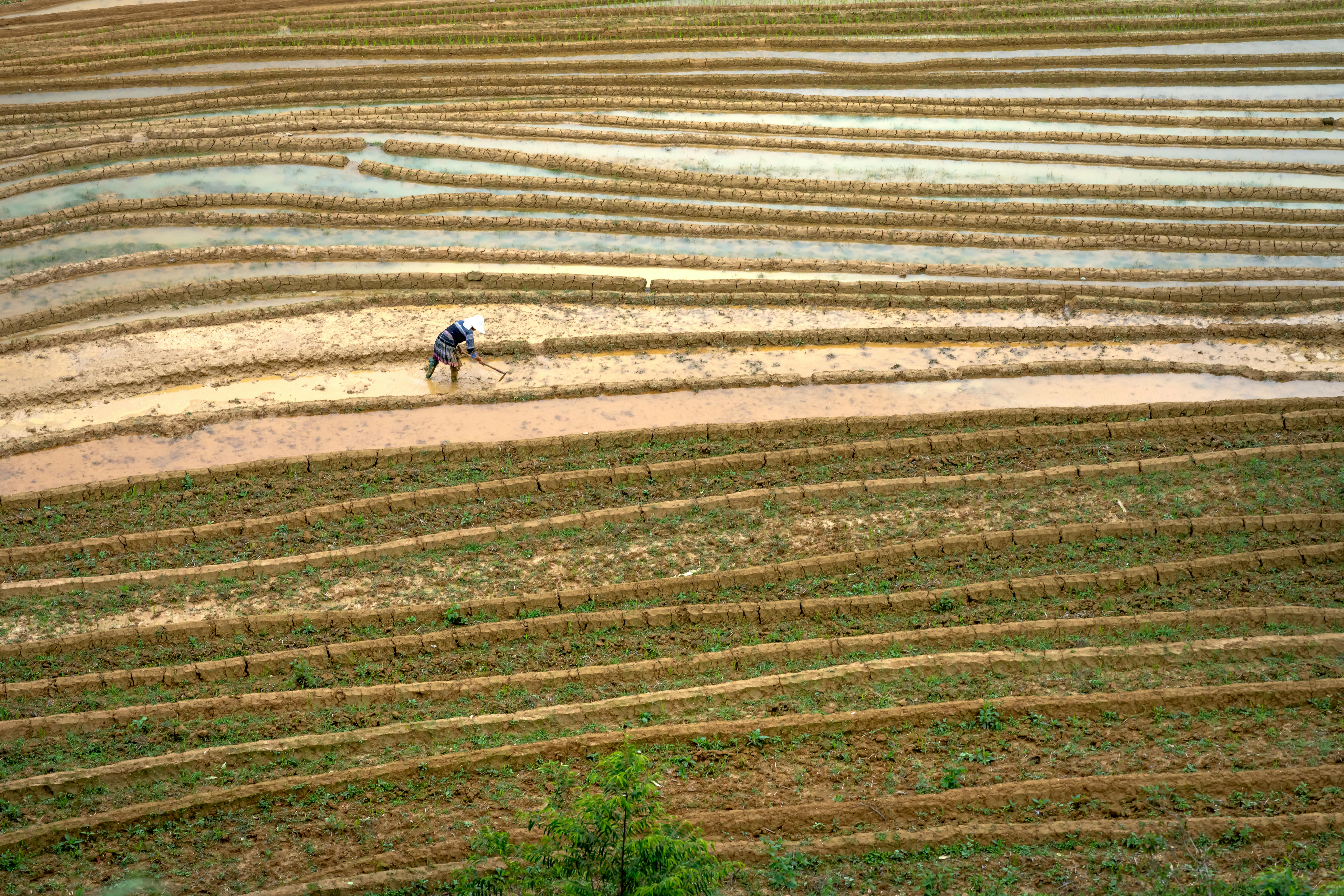 Aerial Shot of a Person Farming · Free Stock Photo