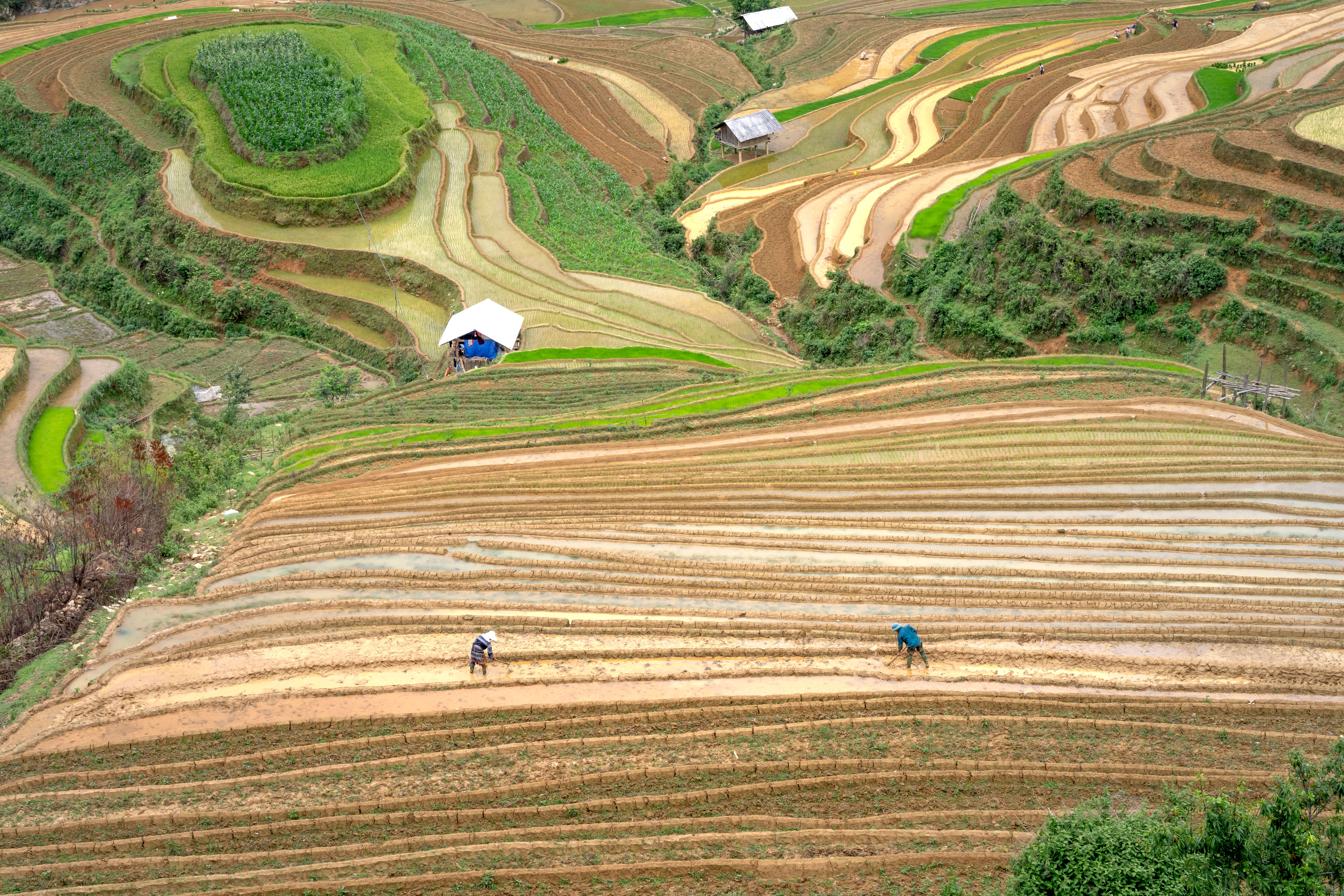 Landscaped Terraces Photos, Download The BEST Free Landscaped Terraces ...