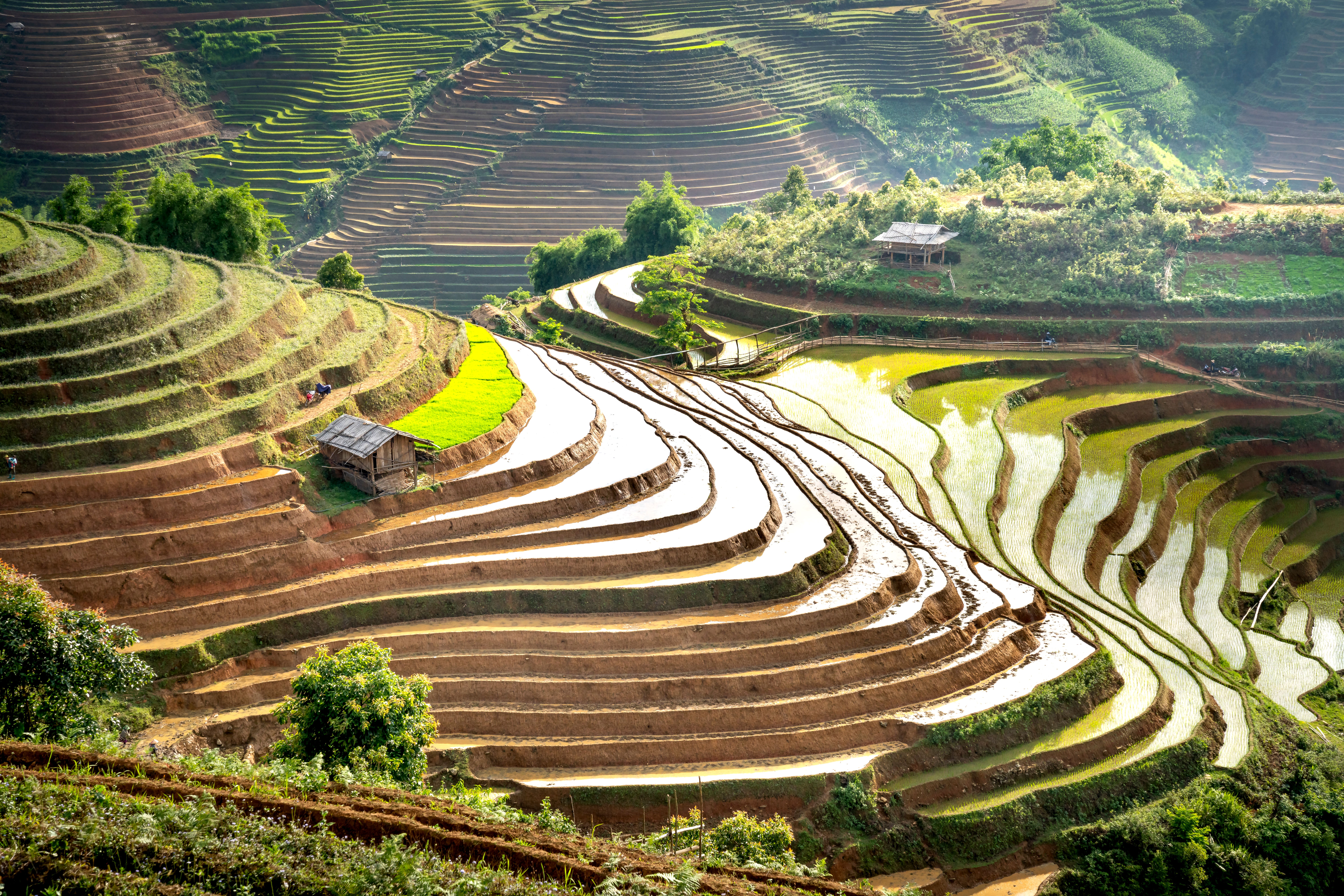 4k Rice Terraces Wallpapers Photos, Download The BEST Free 4k Rice ...