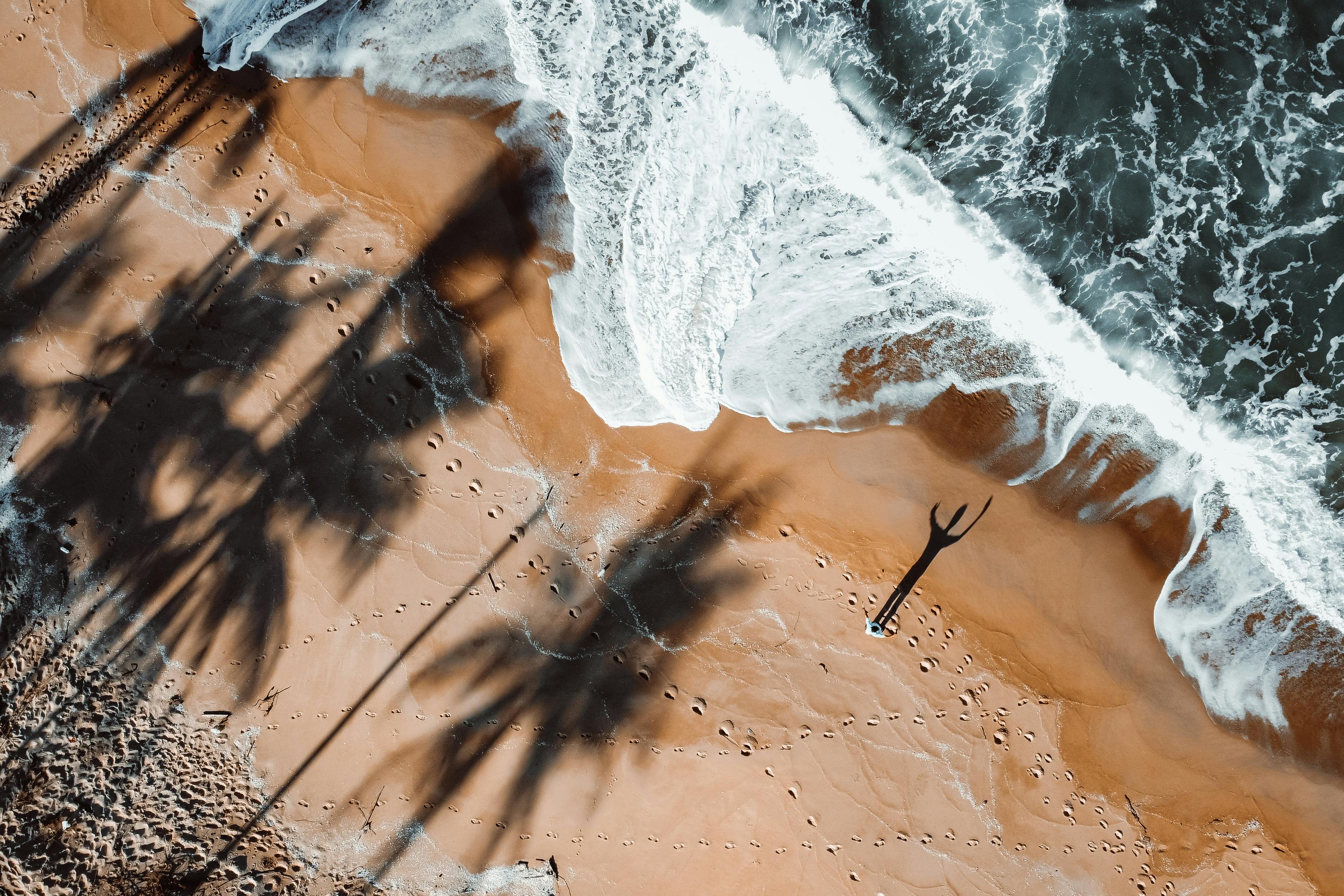 Aerial View of Palm Tree Shadows on Beach · Free Stock Photo