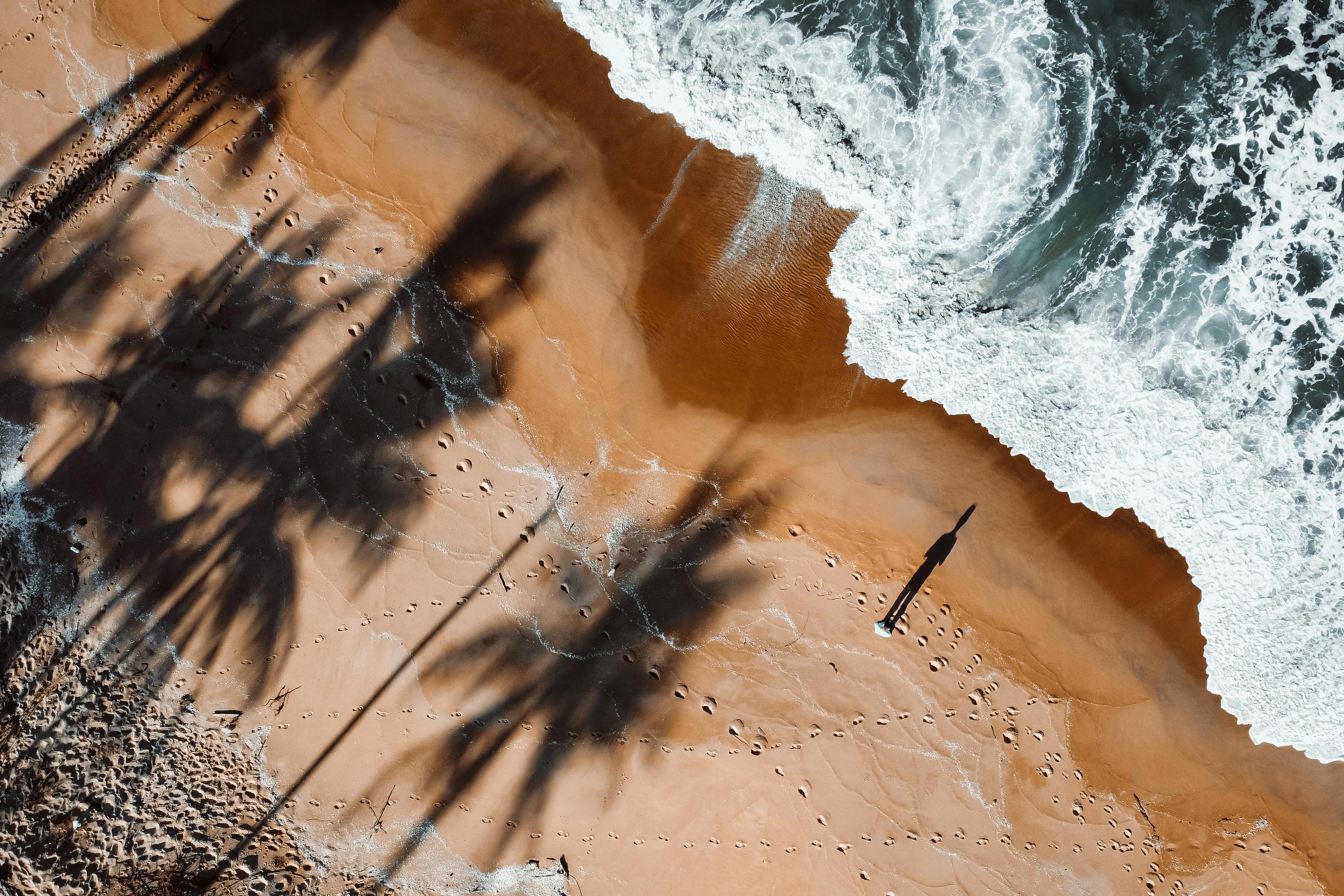 Aerial View of People and Kayaks on Beach Shore · Free Stock Photo
