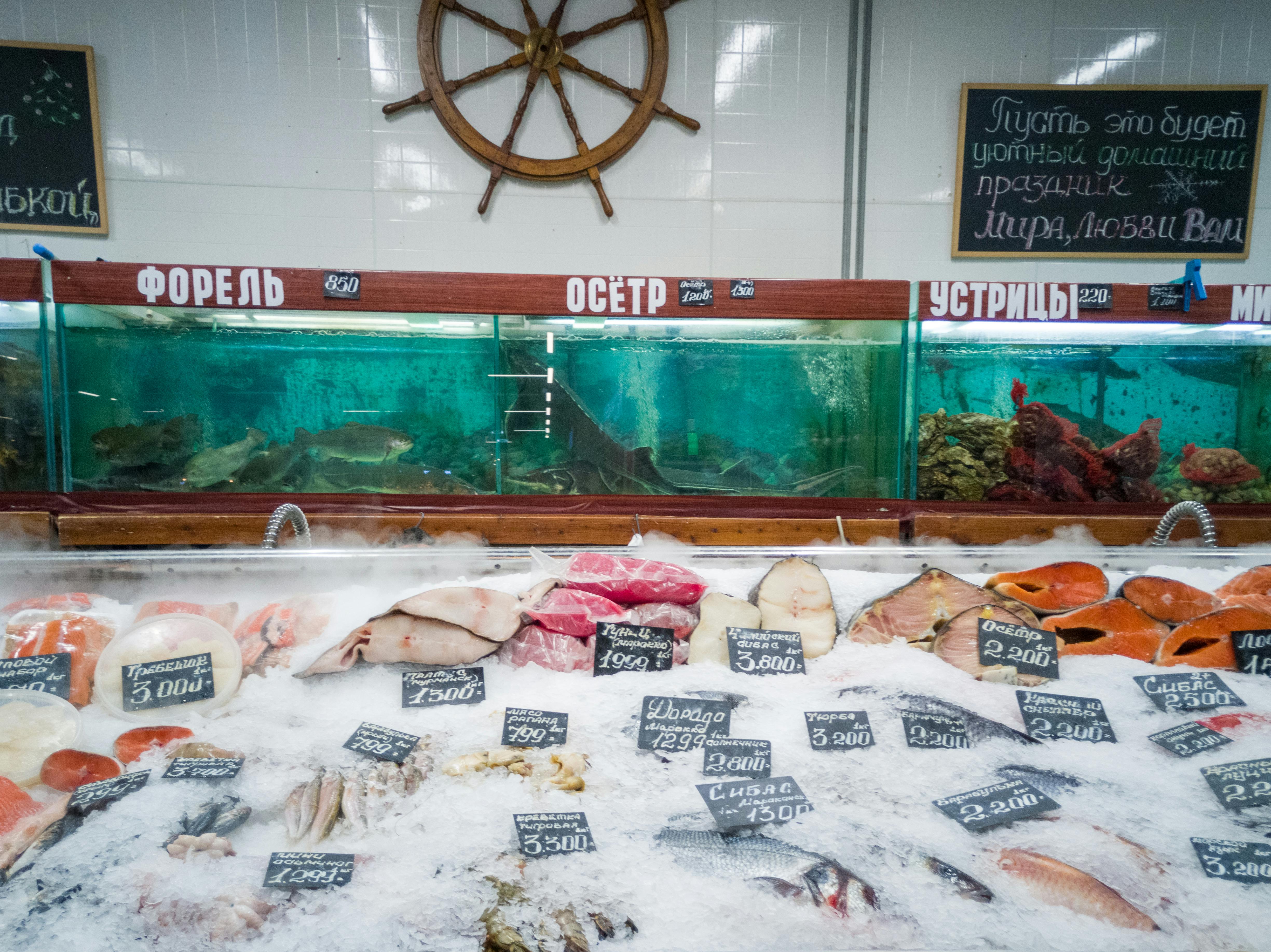23,538+ Best Free Fish market Stock Photos & Images · 100% Royalty-Free ...