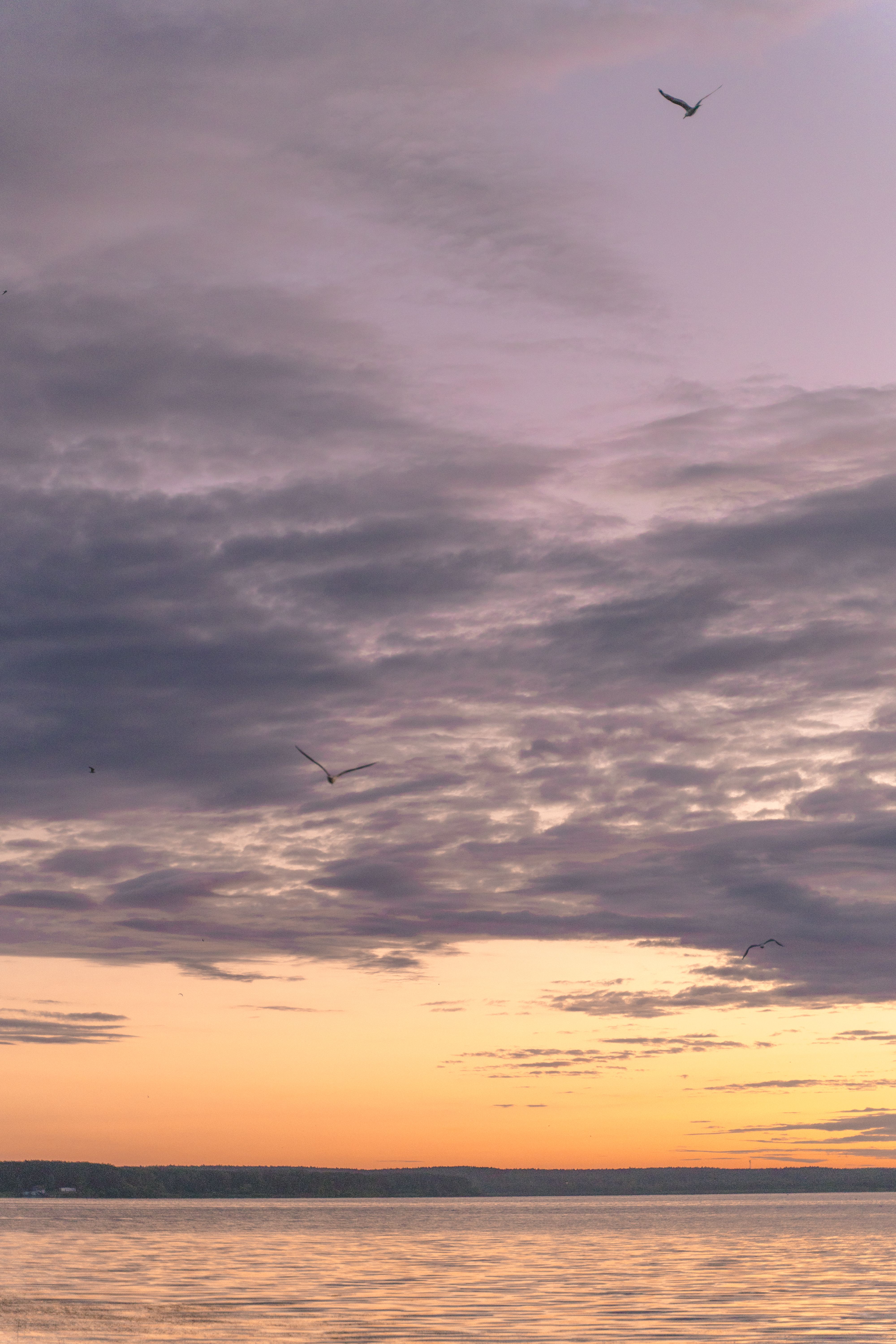 Photo of Purple Sky During Sunset · Free Stock Photo