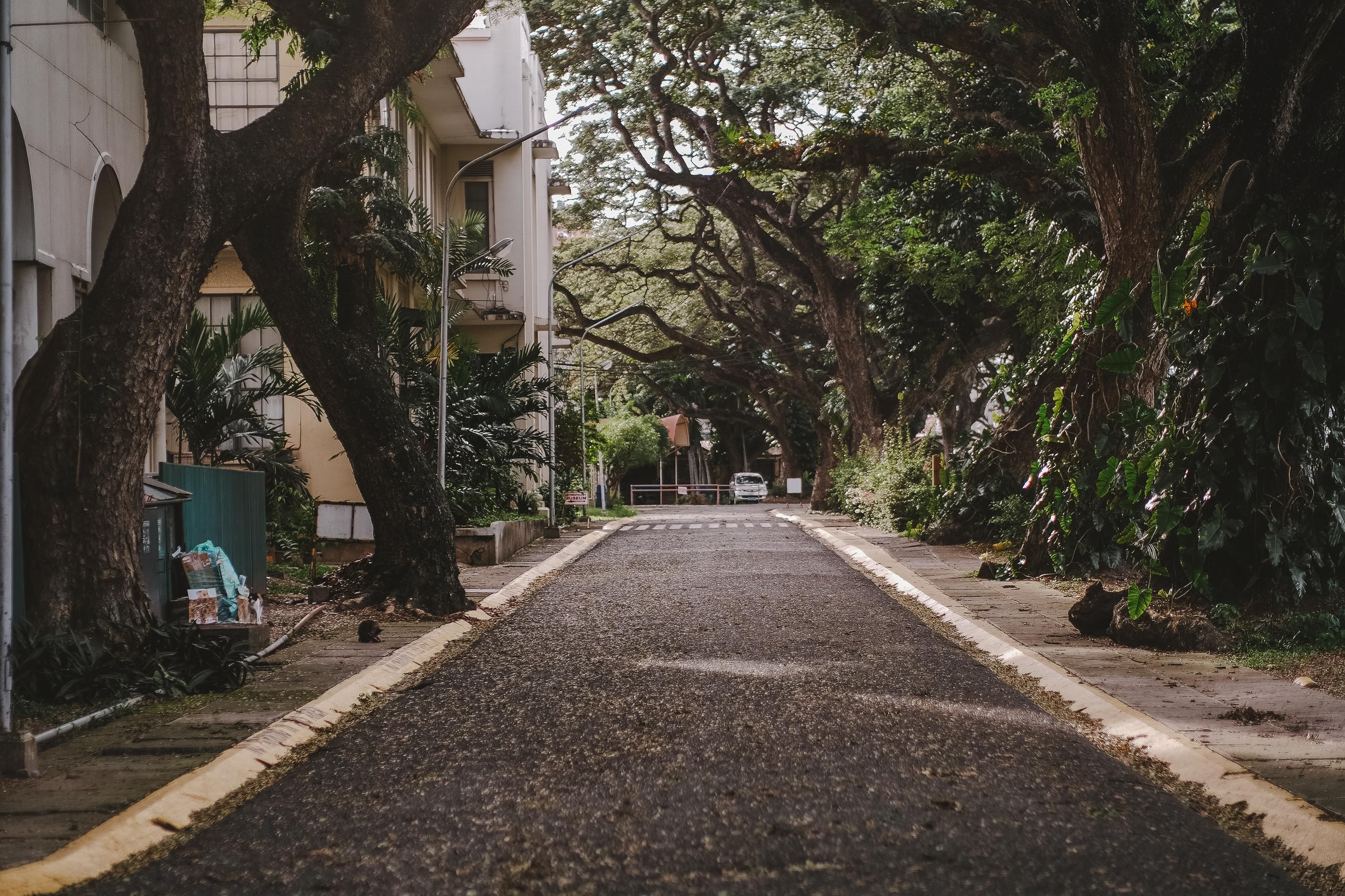 267,884+ Best Free Building landscape Stock Photos & Images · 100% ...