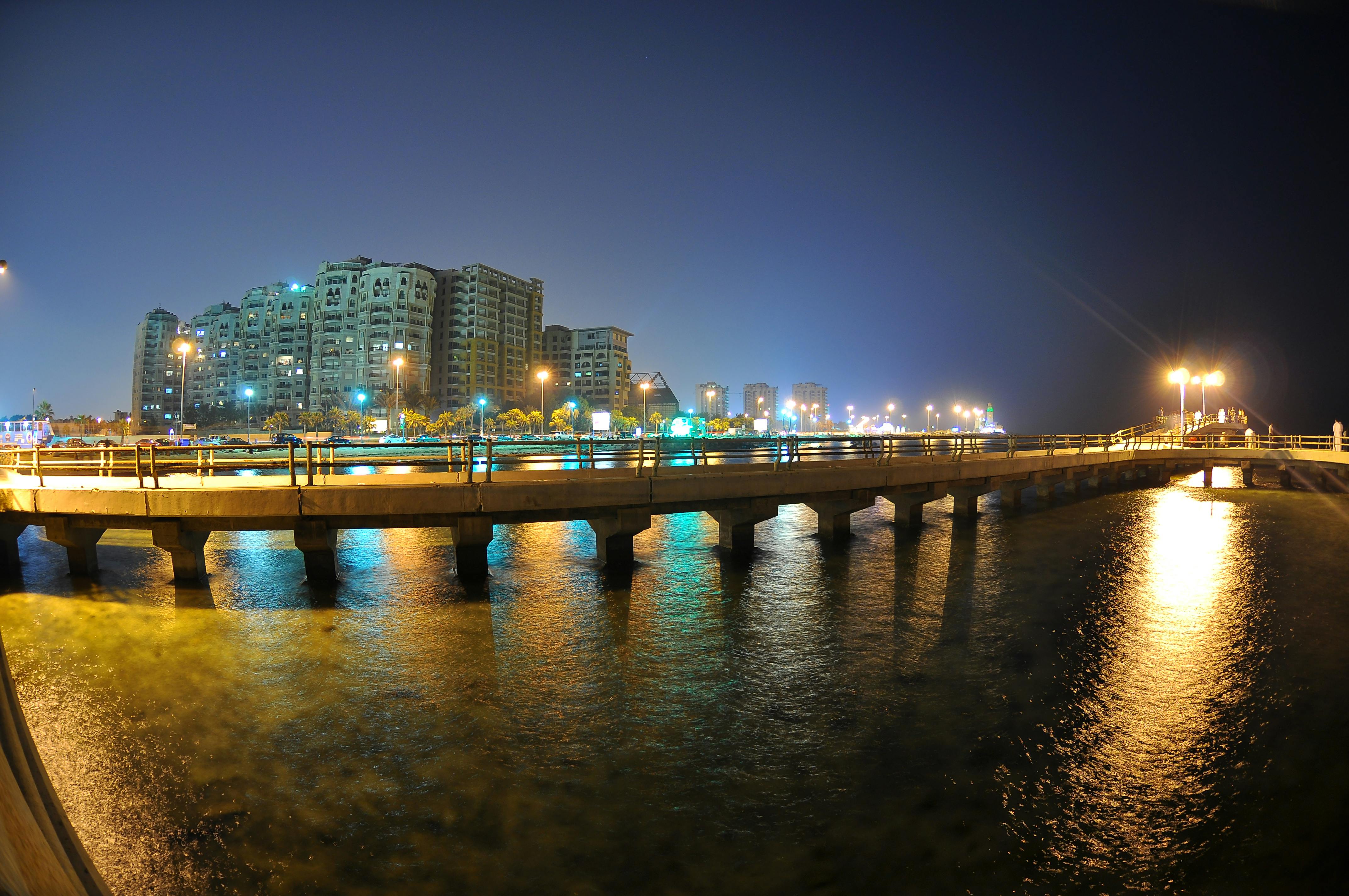 Free stock photo of bridge, buildings, city