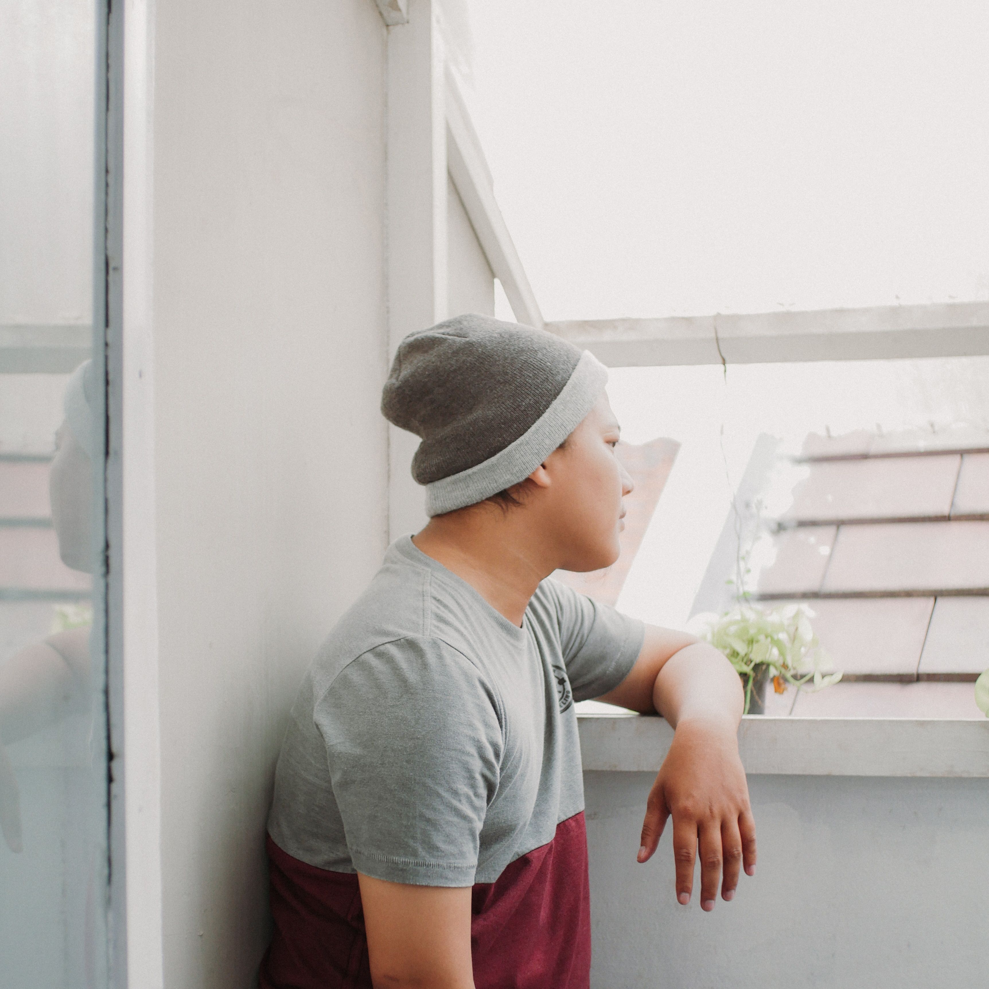 Looking Out Sunny Window Photos, Download The BEST Free Looking Out ...