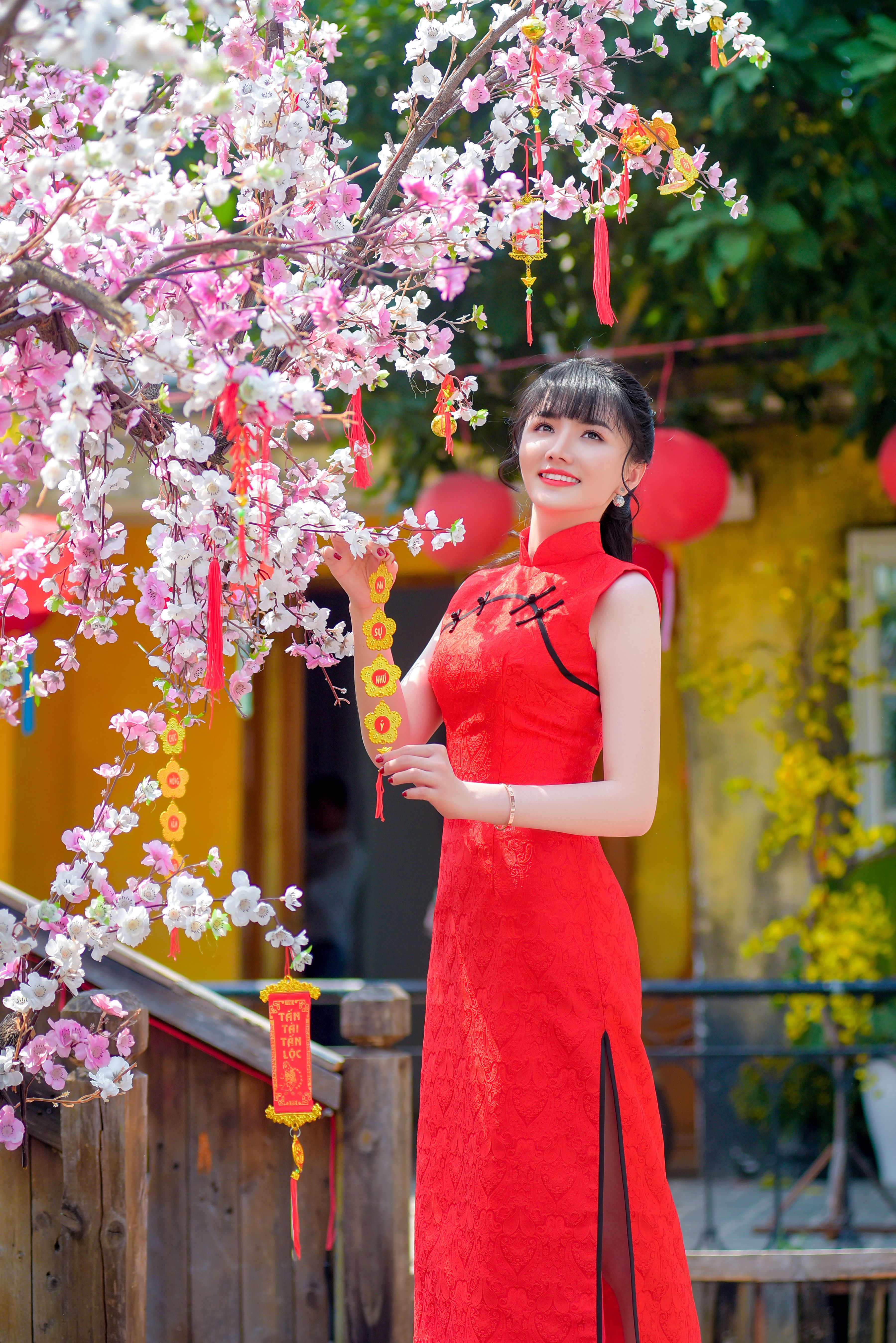 53+ Best Free Cheongsam Stock Photos & Images · 100% Royalty-Free HD ...