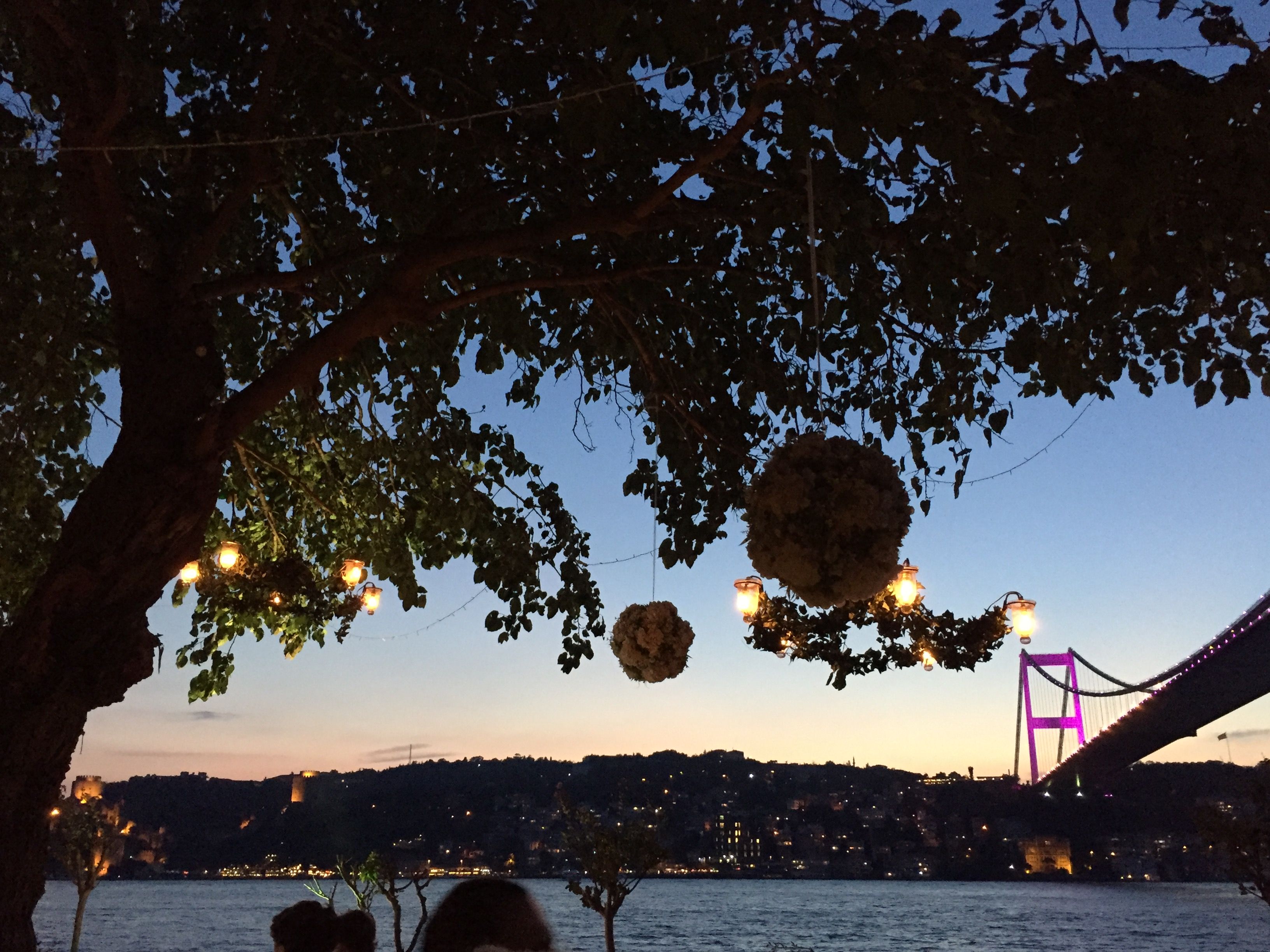 Free stock photo of bridge, sailing ship, sunset