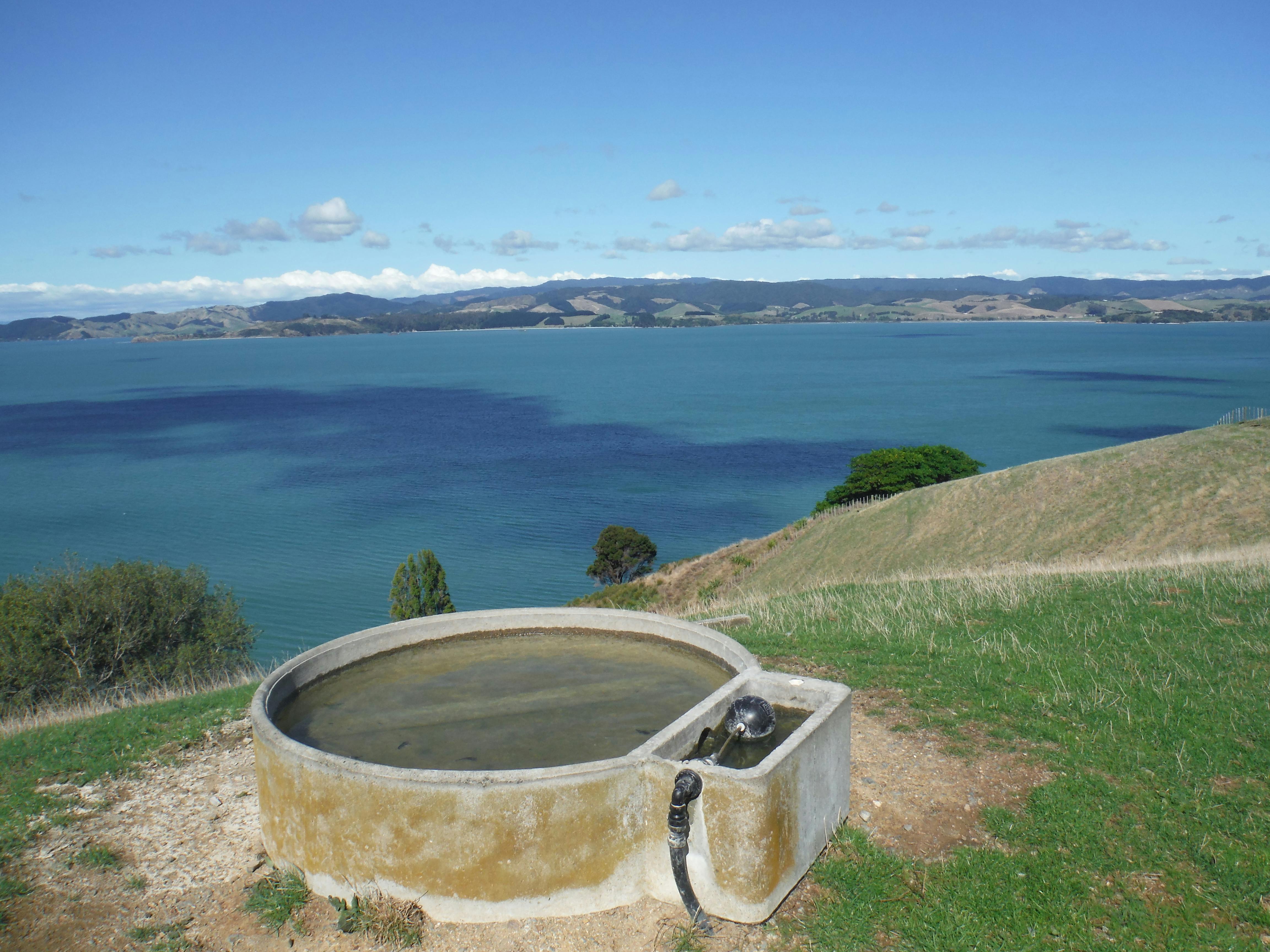 Free stock photo of by the sea, farm