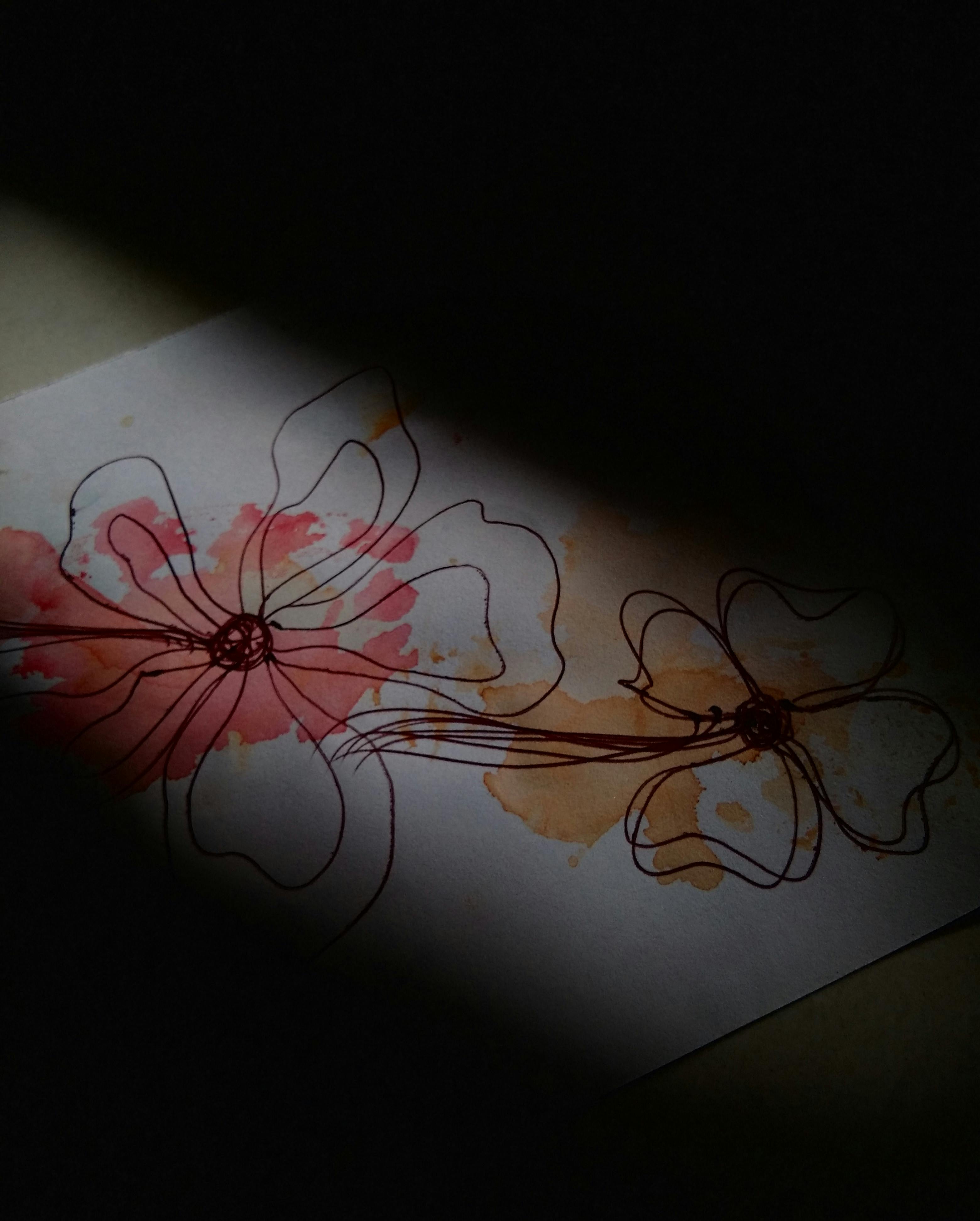 Flowers Drawn with One Line Technique and Bits of Watercolor Paint ...