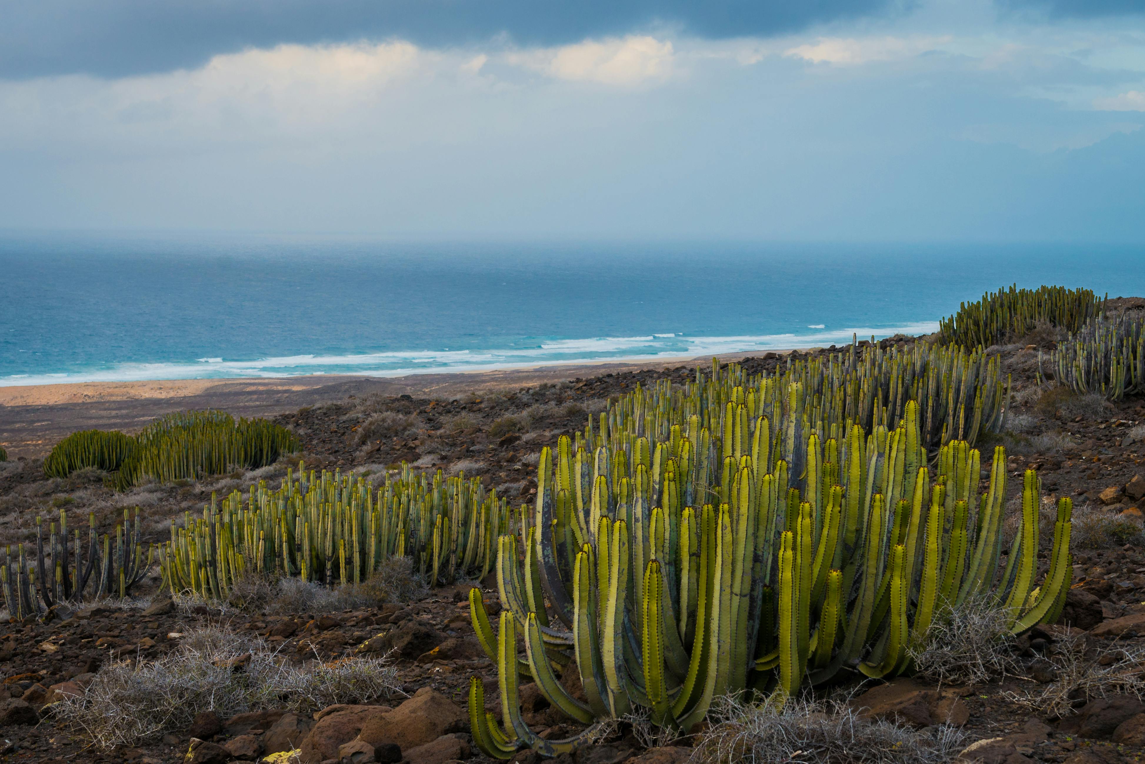 200.000+ Strand Semester Bilder und Fotos · Kostenlos Downloaden ...