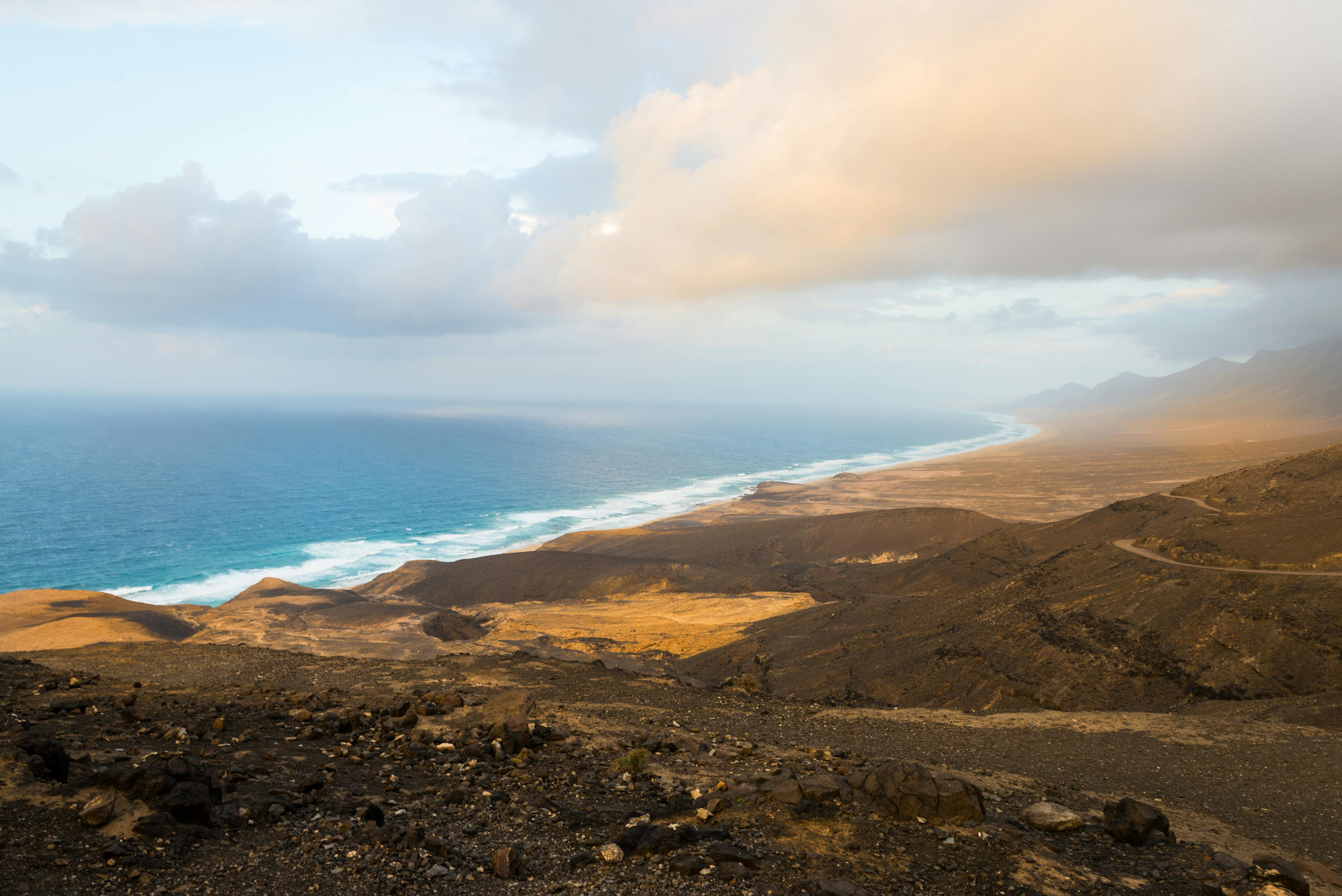 Pasture Grass on the Coastal Plateau · Free Stock Photo