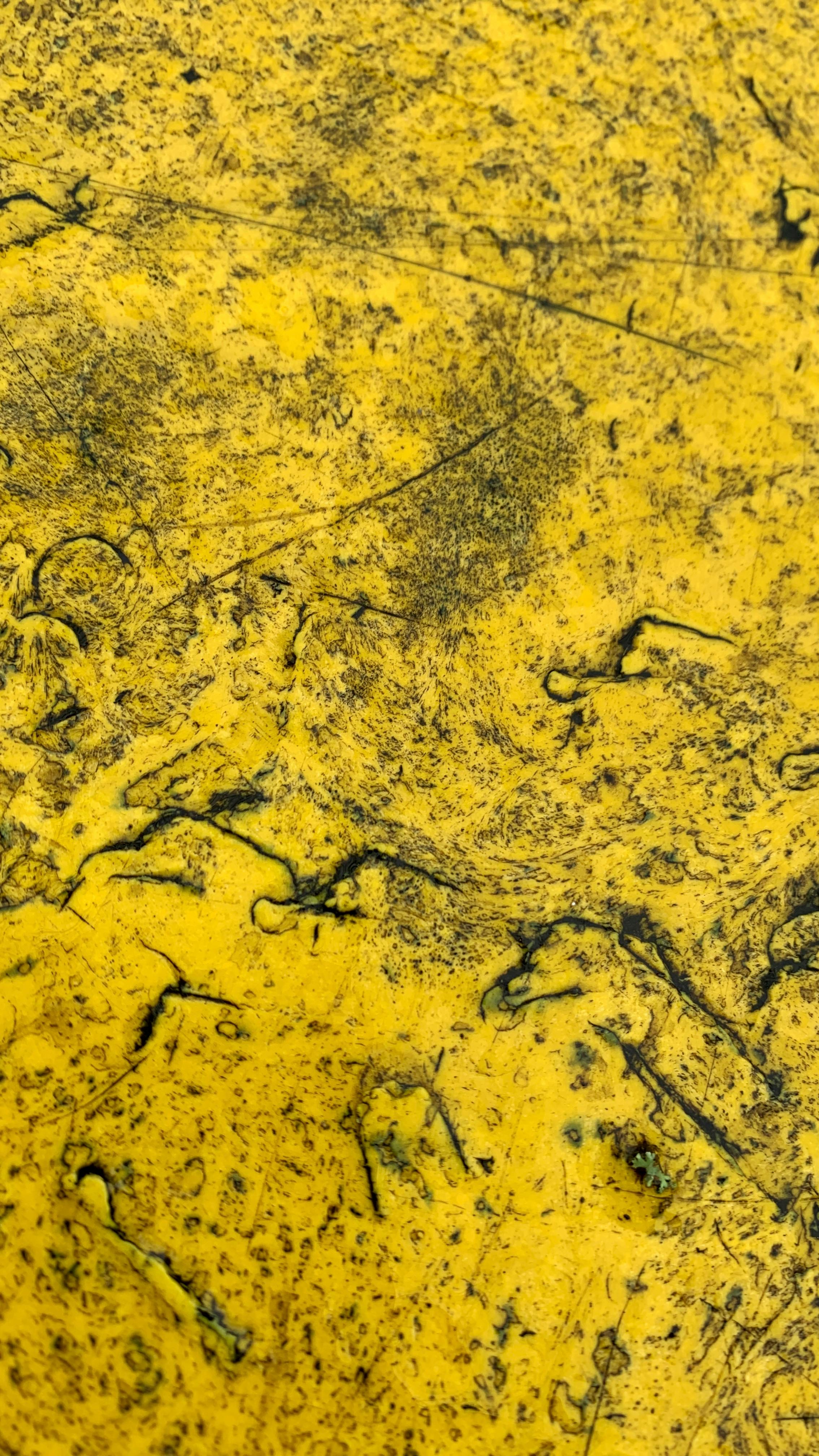 Close-up View of Yellow Texture · Free Stock Photo