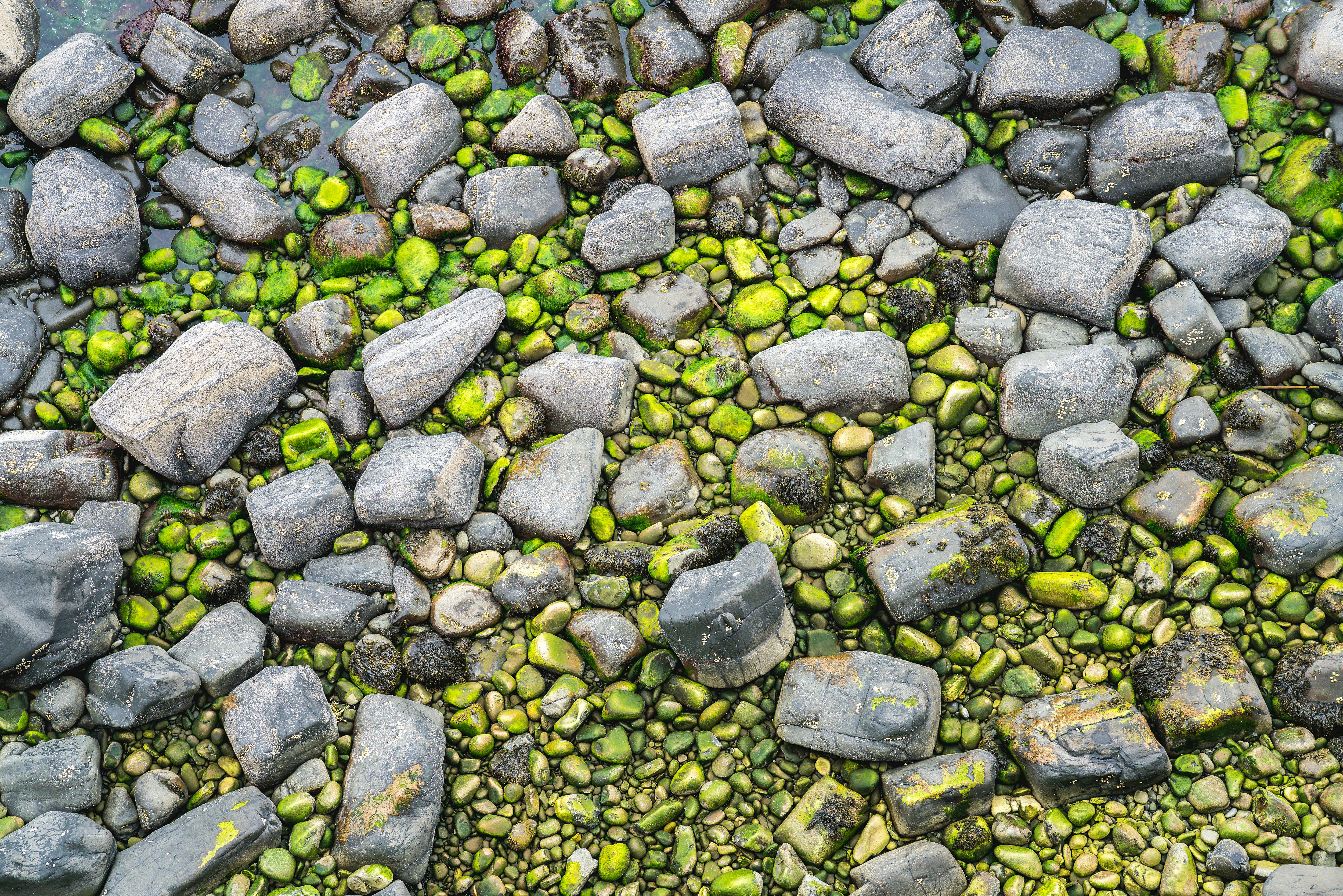 Stones Lying on Ground · Free Stock Photo