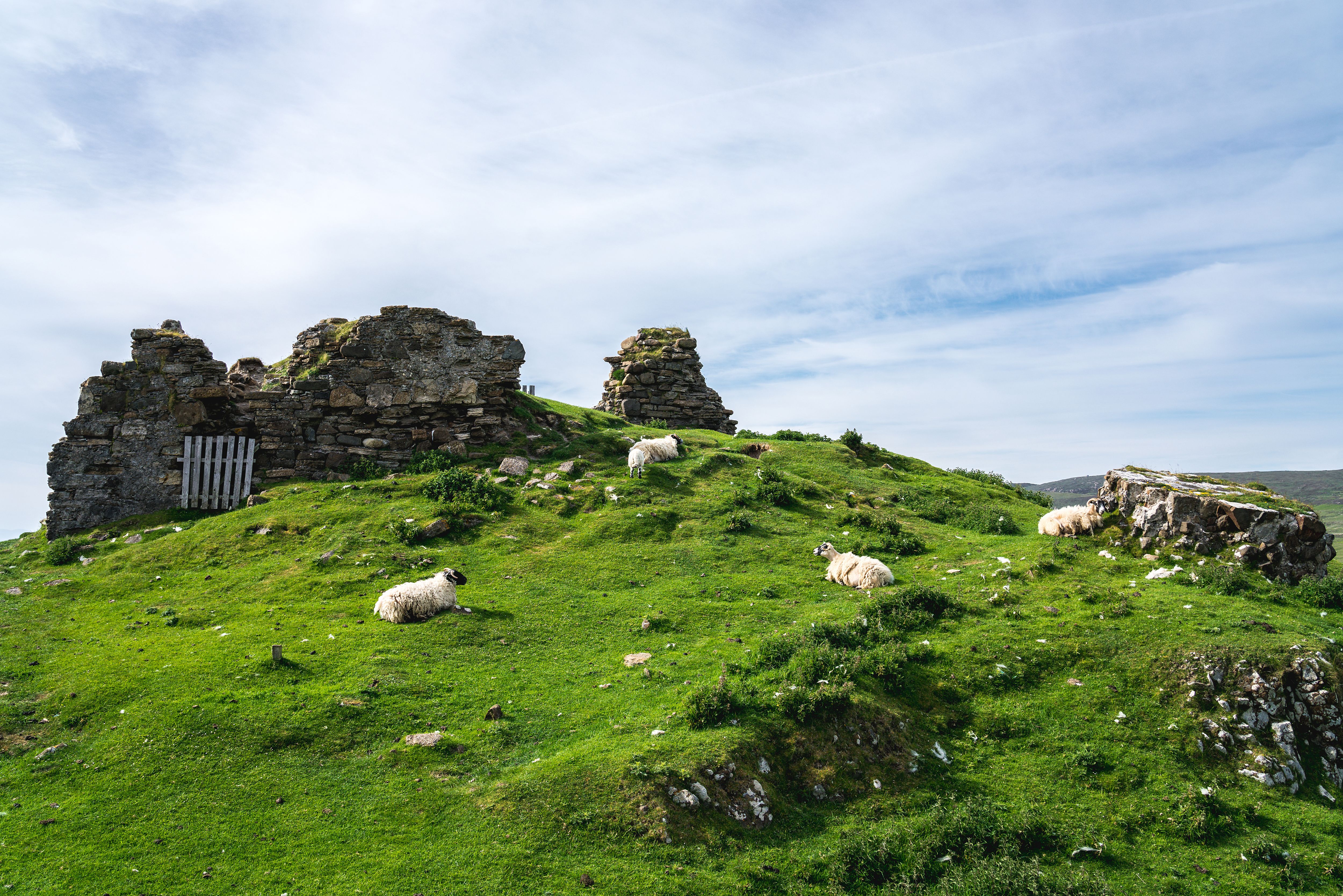 Sheep on a Green Pasture and Ruins of Old Building · Free Stock Photo