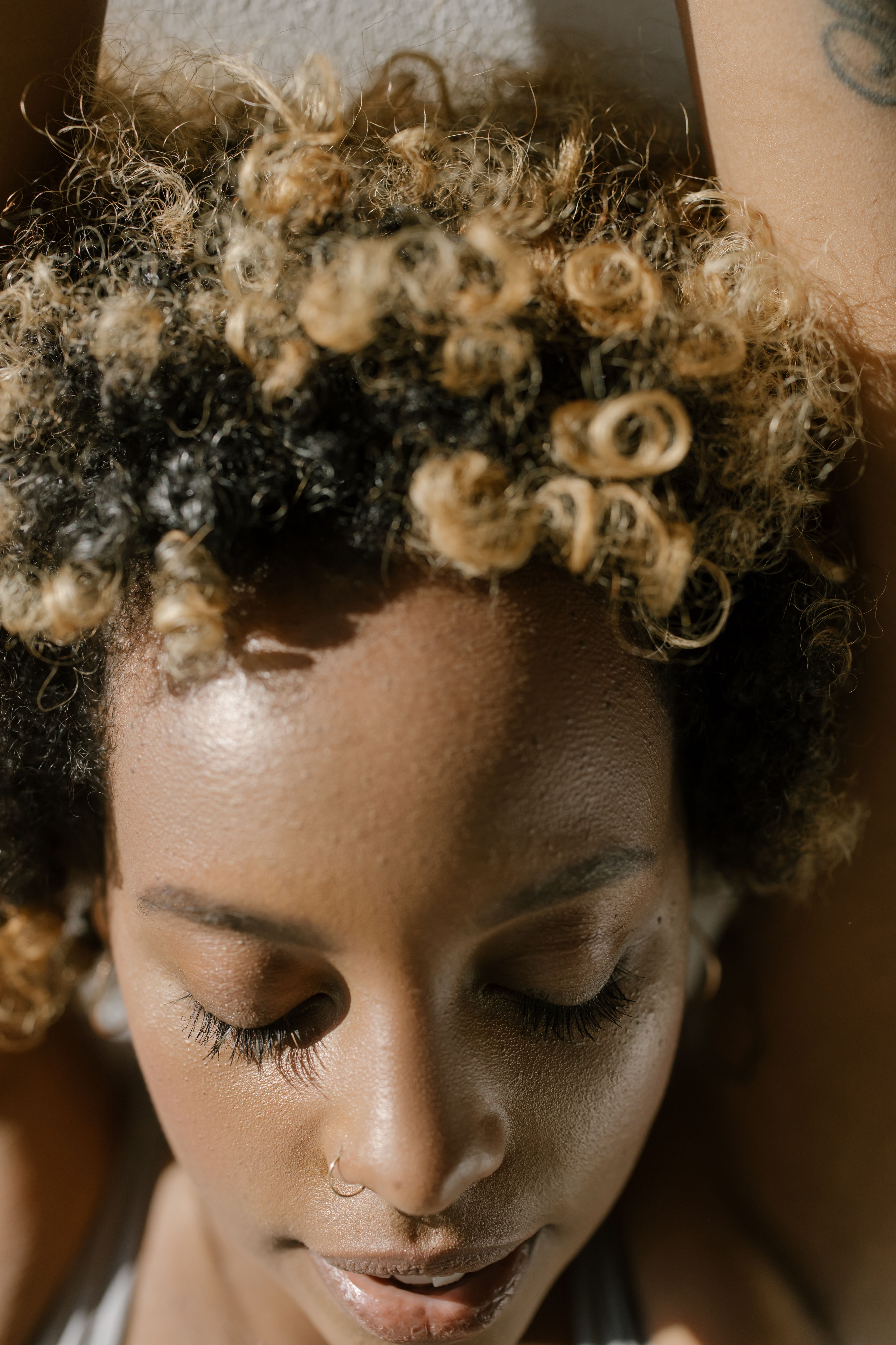 A Close-Up Shot of a Woman's Hairstyle · Free Stock Photo