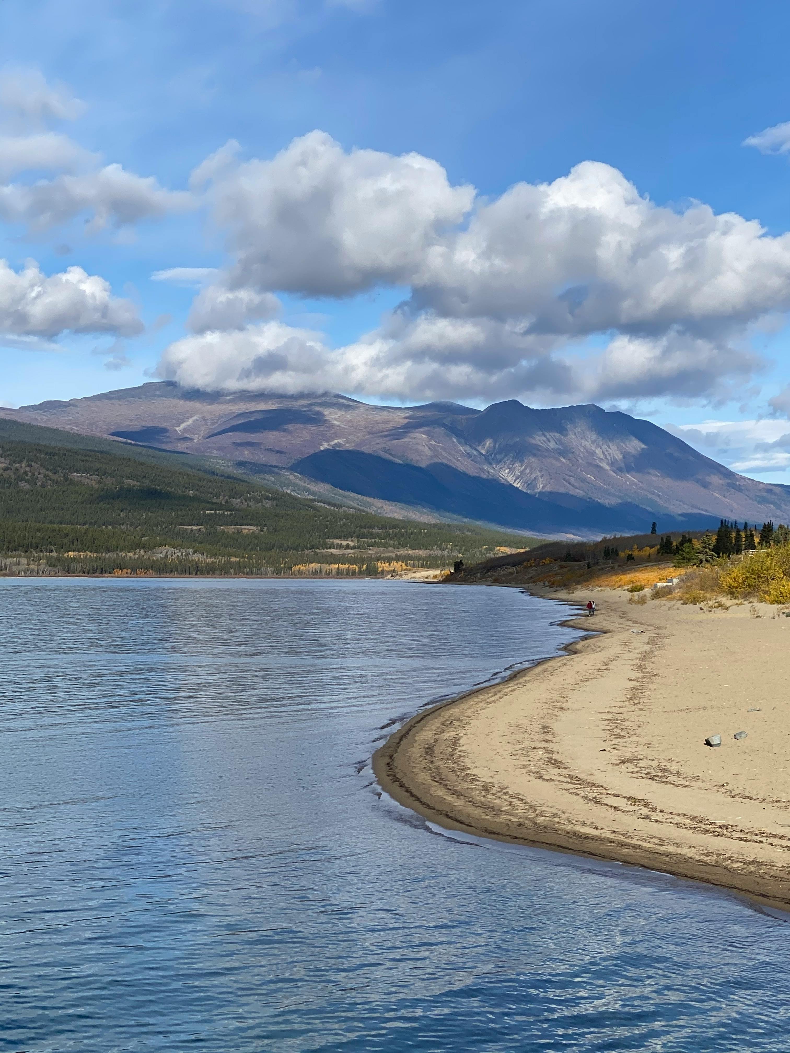 Carcross Photos, Download The BEST Free Carcross Stock Photos & HD Images